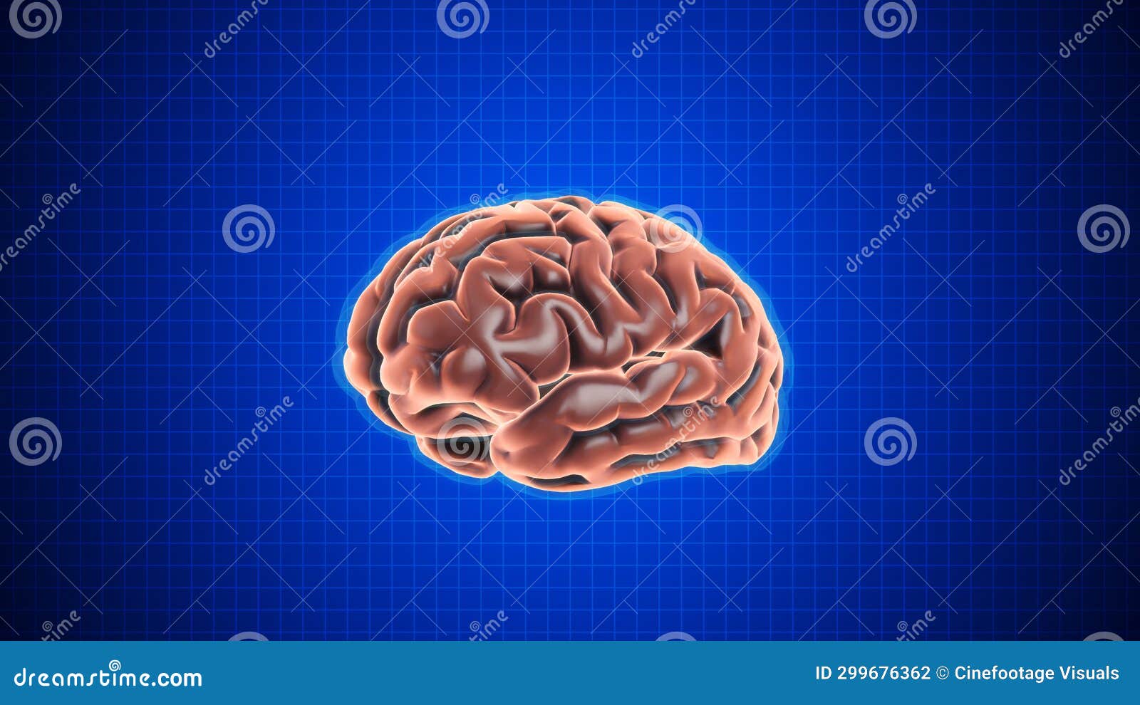 Animation of Rotating Brain with Grid on Dark Blue Background Stock ...