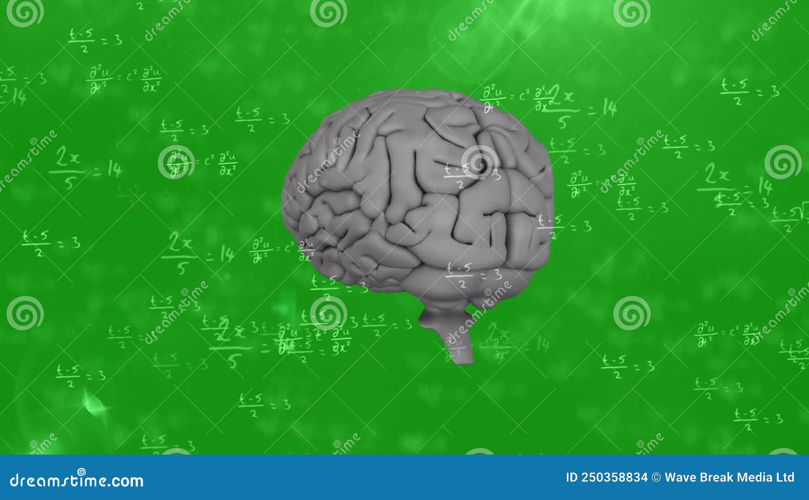 Animation of Rotating Brain and Math Formulas on Green Background Stock ...