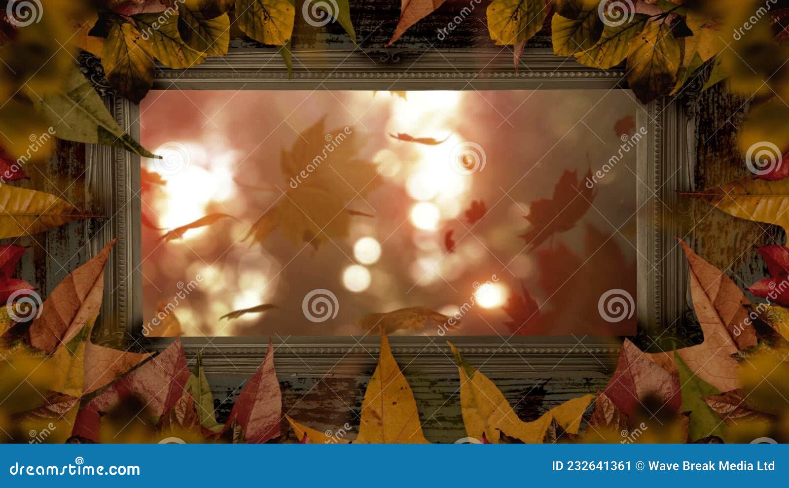 Animation of Spots of Light and Falling Leaves in Leaf Frame Stock ...