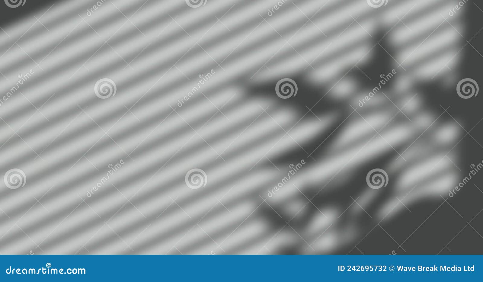 Animation of Window Shadow of Leaves and Blinds Over Grey Background ...
