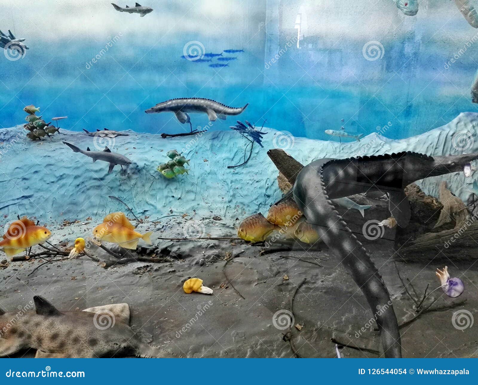 Animaux De La Période Mésozoïque Photo stock - Image du évolution ...