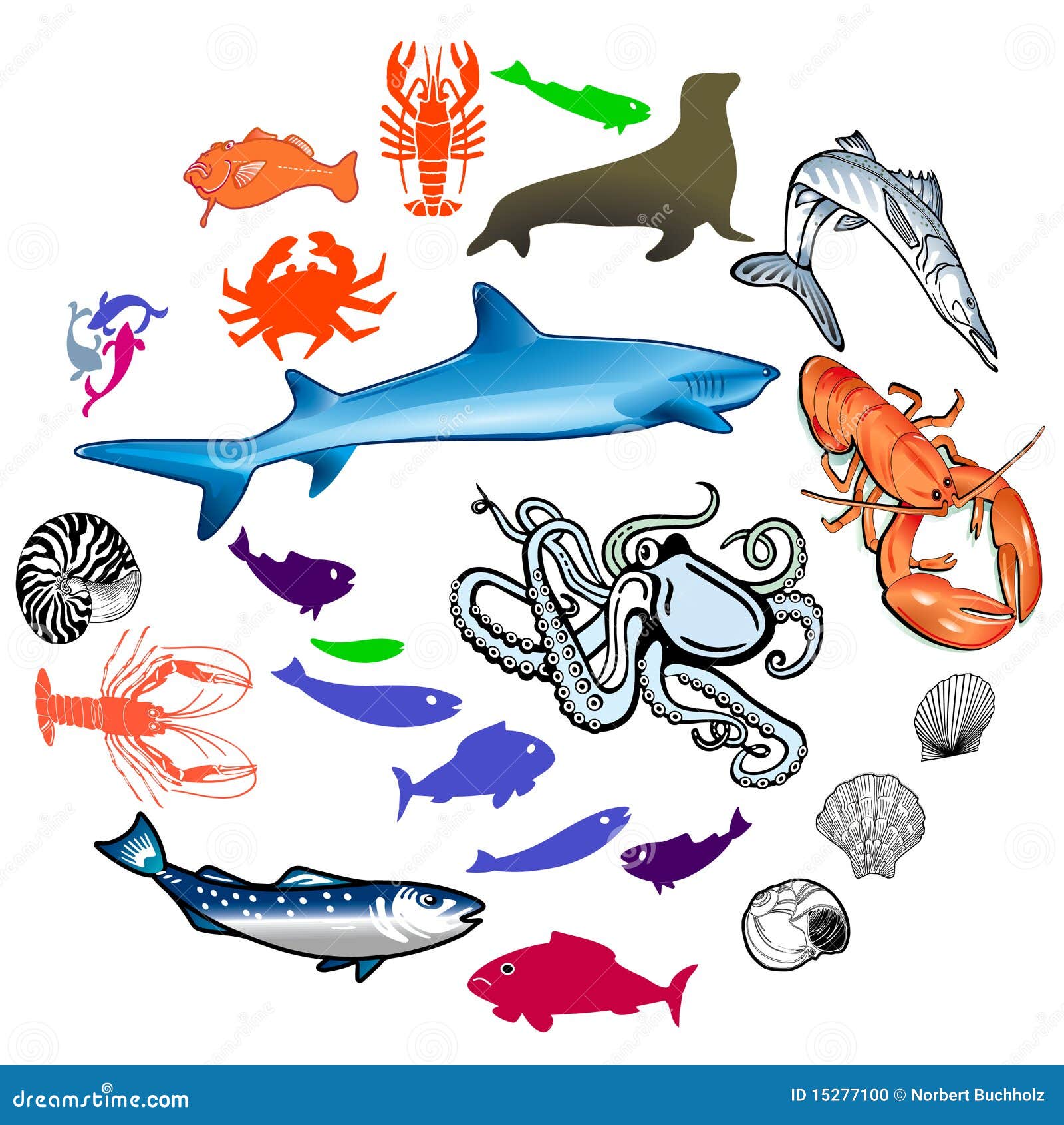 Animaux De Mer Photo stock - Image: 15277100