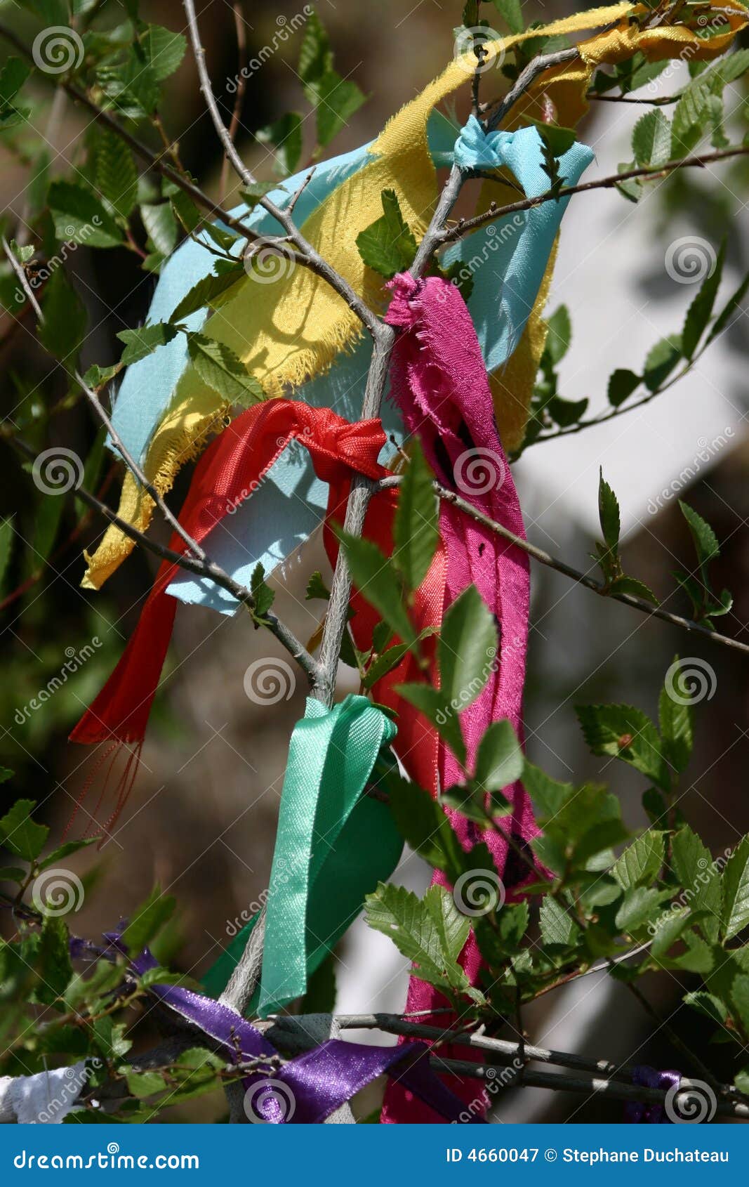 Animist prayer stock image. Image of respect, central - 4660047