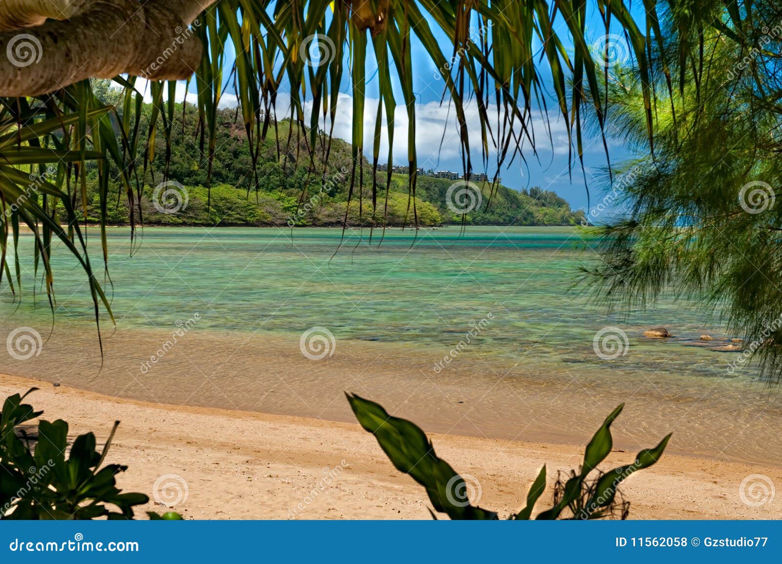 Anini Beach - Kauai Hawaii stock photo. Image of paradise - 11562058