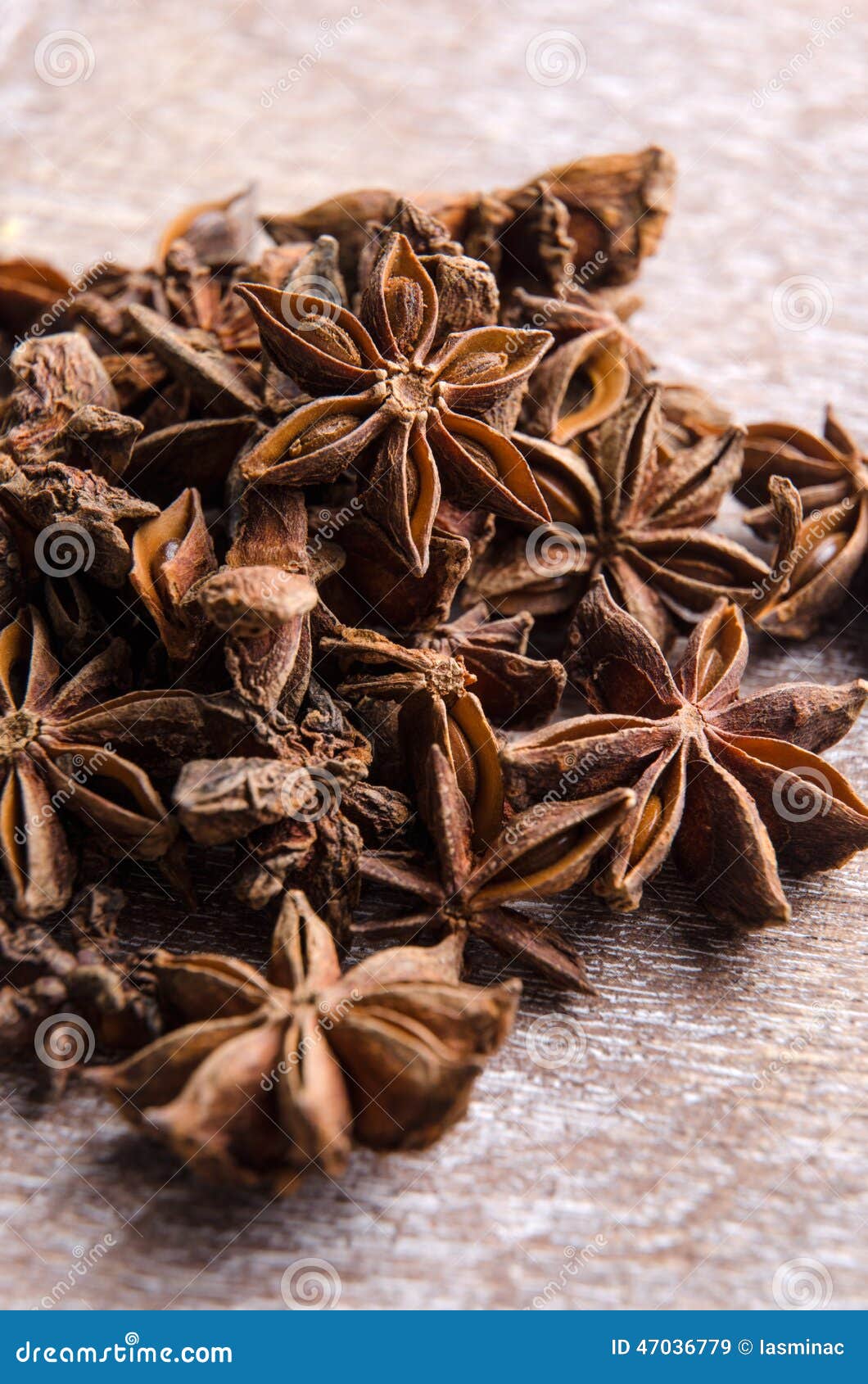 Anis stockbild. Bild von kraut, gewürz, anis, kräuter - 47036779