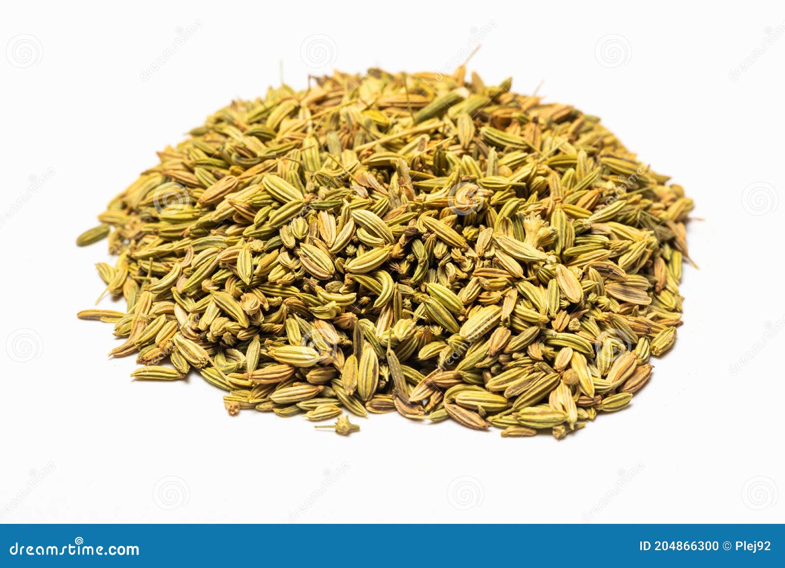 239 Anis Plant Seeds Stock Photos - Free & Royalty-Free Stock Photos ...