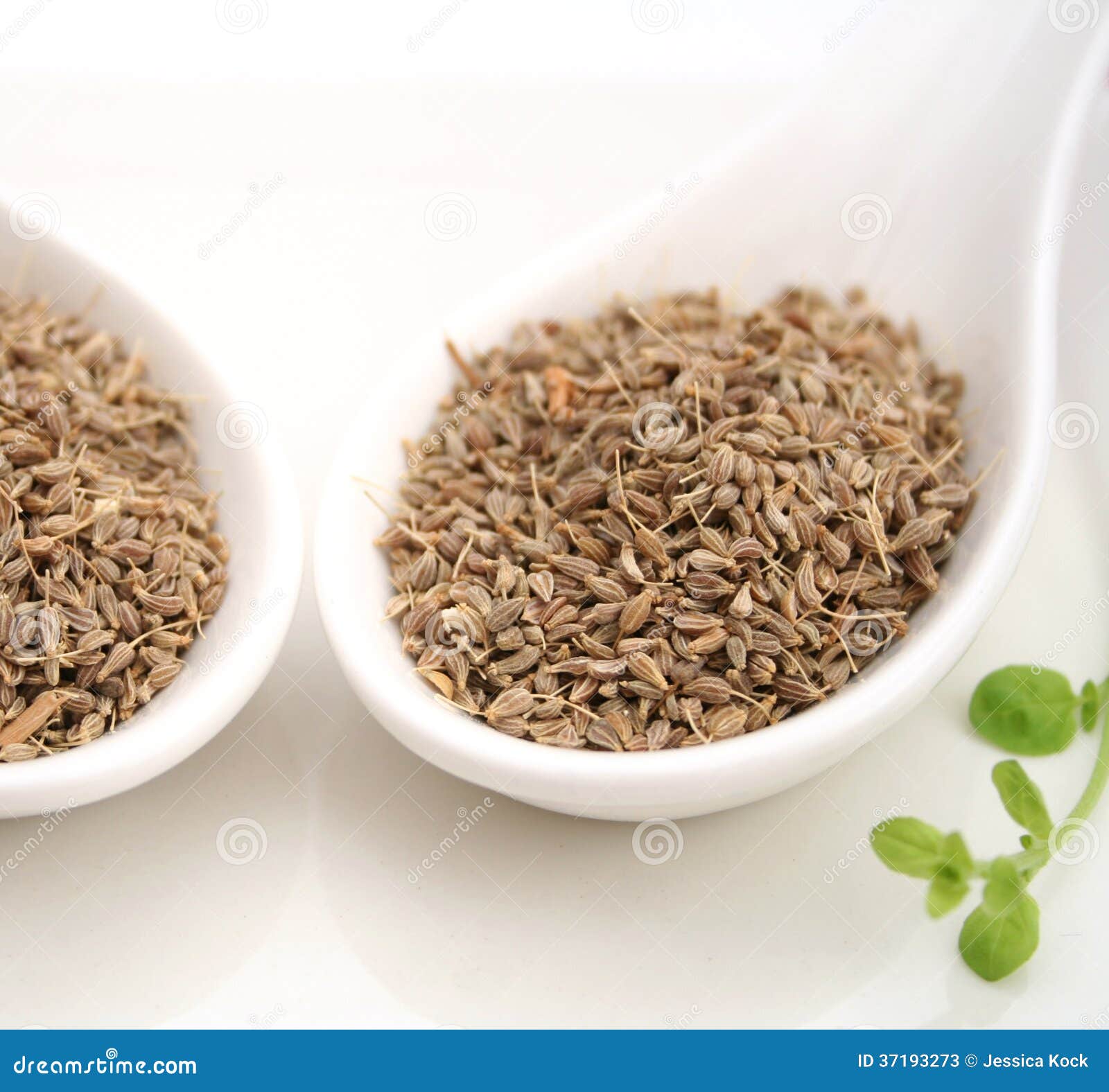 Anis seeds stock image. Image of seed, anis, gourmet - 37193273