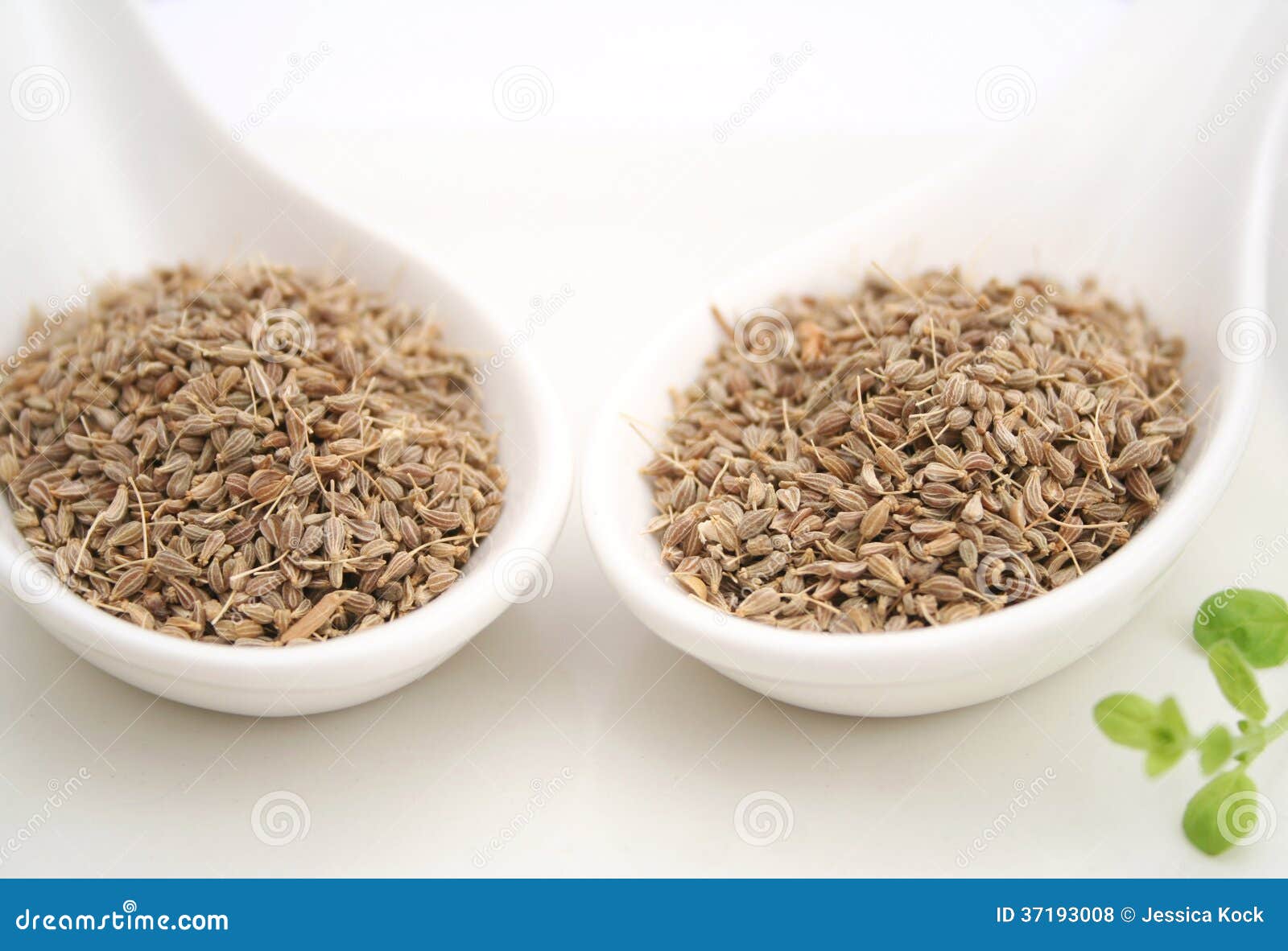 Anis seeds stock photo. Image of anisseeds, food, spice - 37193008