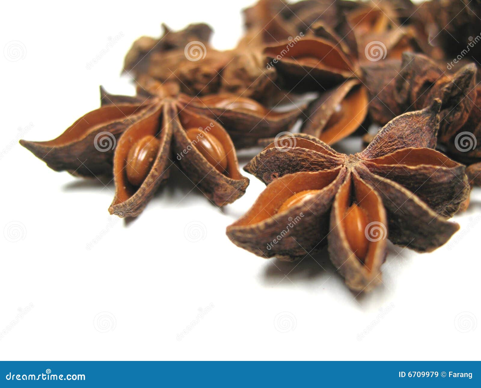 Anise stock image. Image of tasty, anice, star, seed, brown - 6709979
