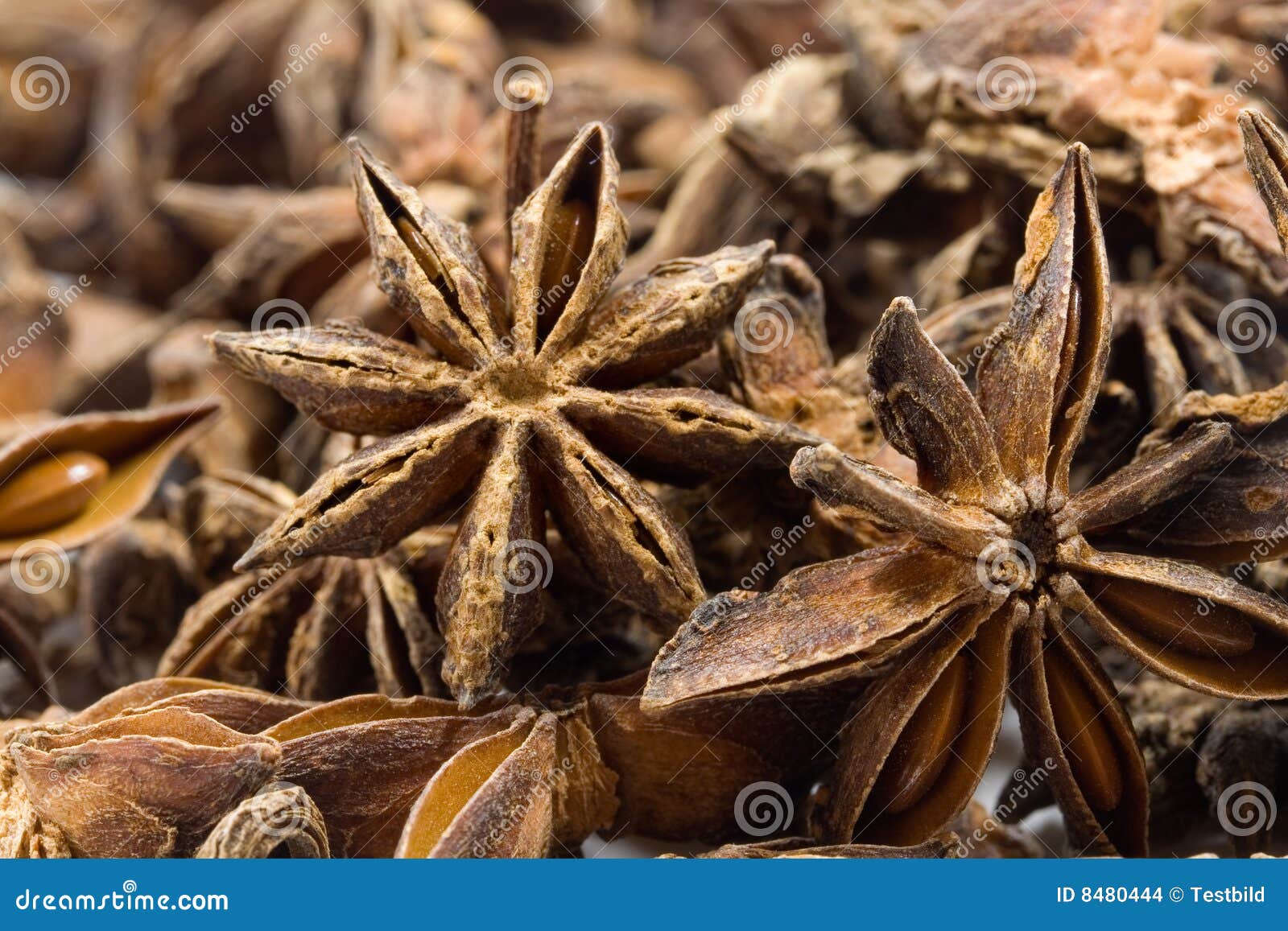 Anise stock photo. Image of anise, colored, advent, odor - 8480444