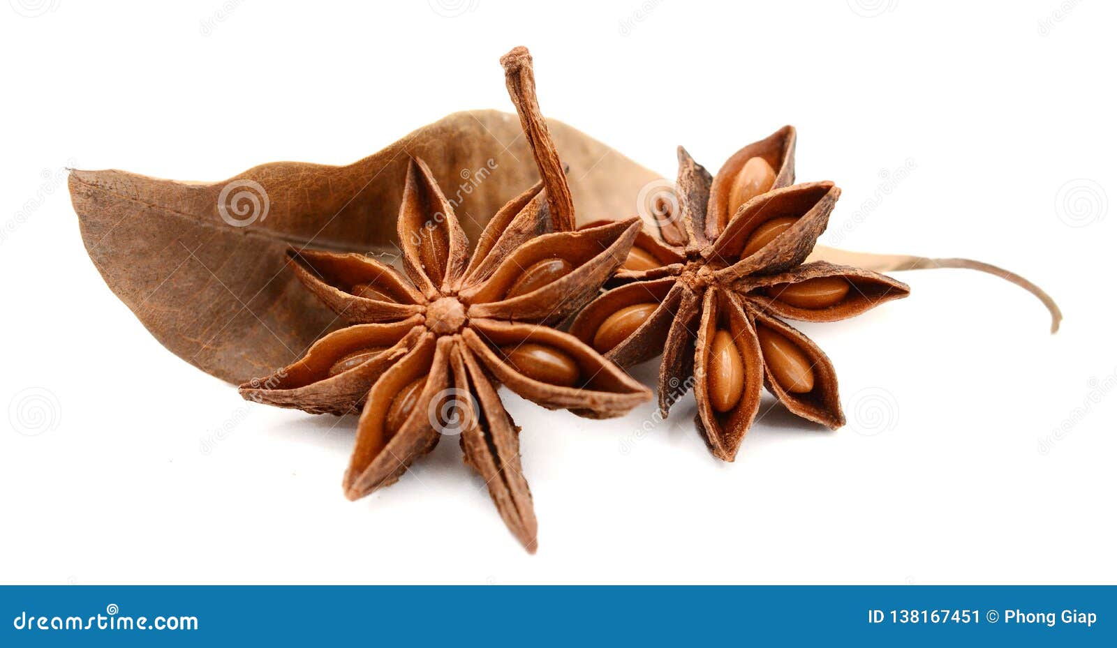 Anise flowers. stock image. Image of closeup, meal, aromatic - 138167451