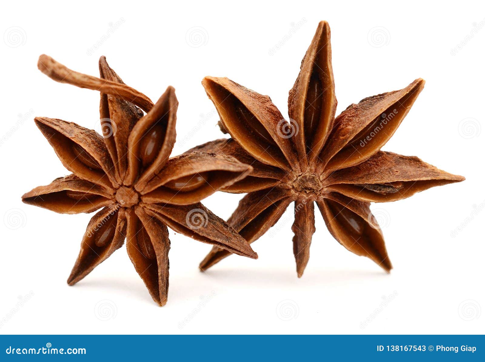 Anise flowers. stock image. Image of food, india, ingredient - 138167543