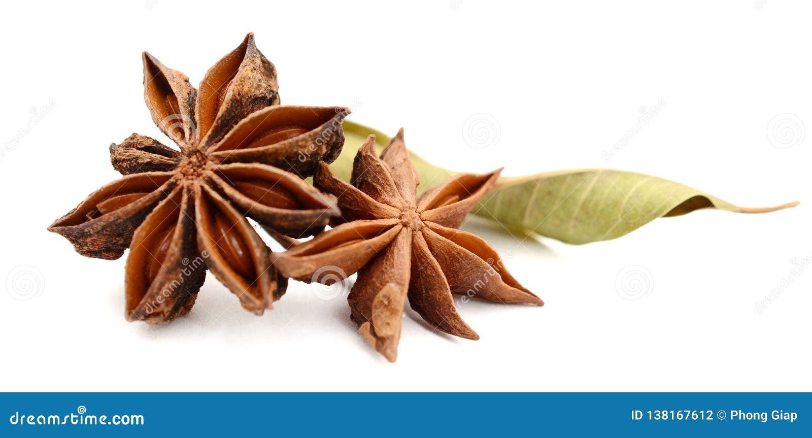 Anise flowers. stock photo. Image of food, christmas - 138167612