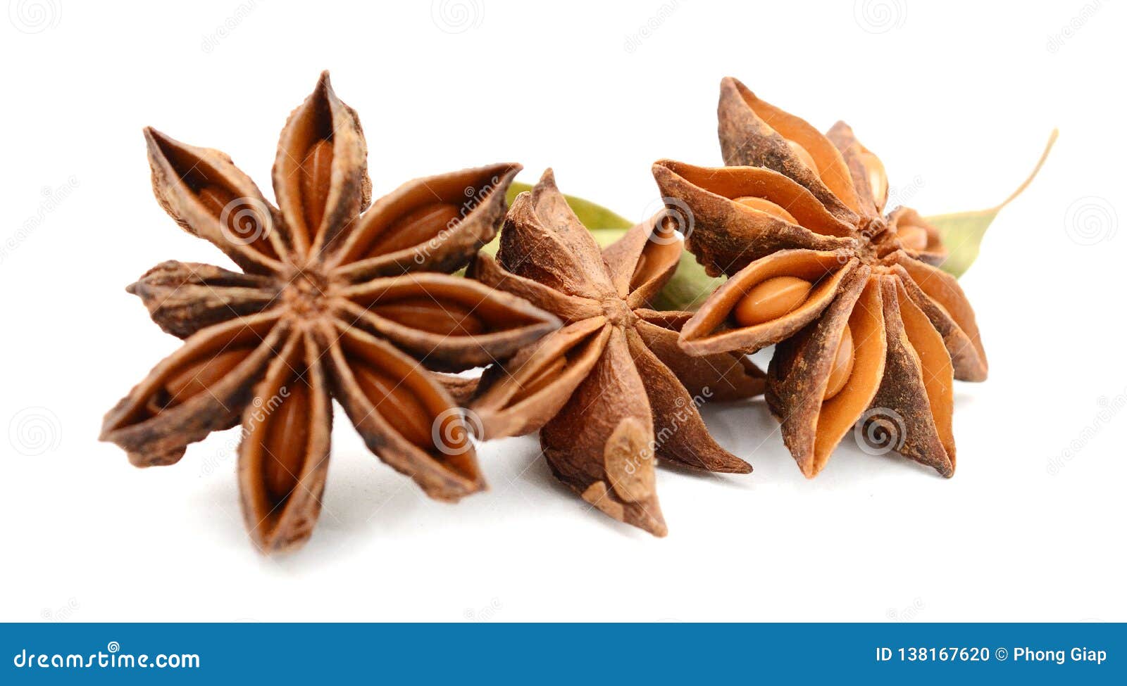 Anise flowers. stock photo. Image of natural, background - 138167620