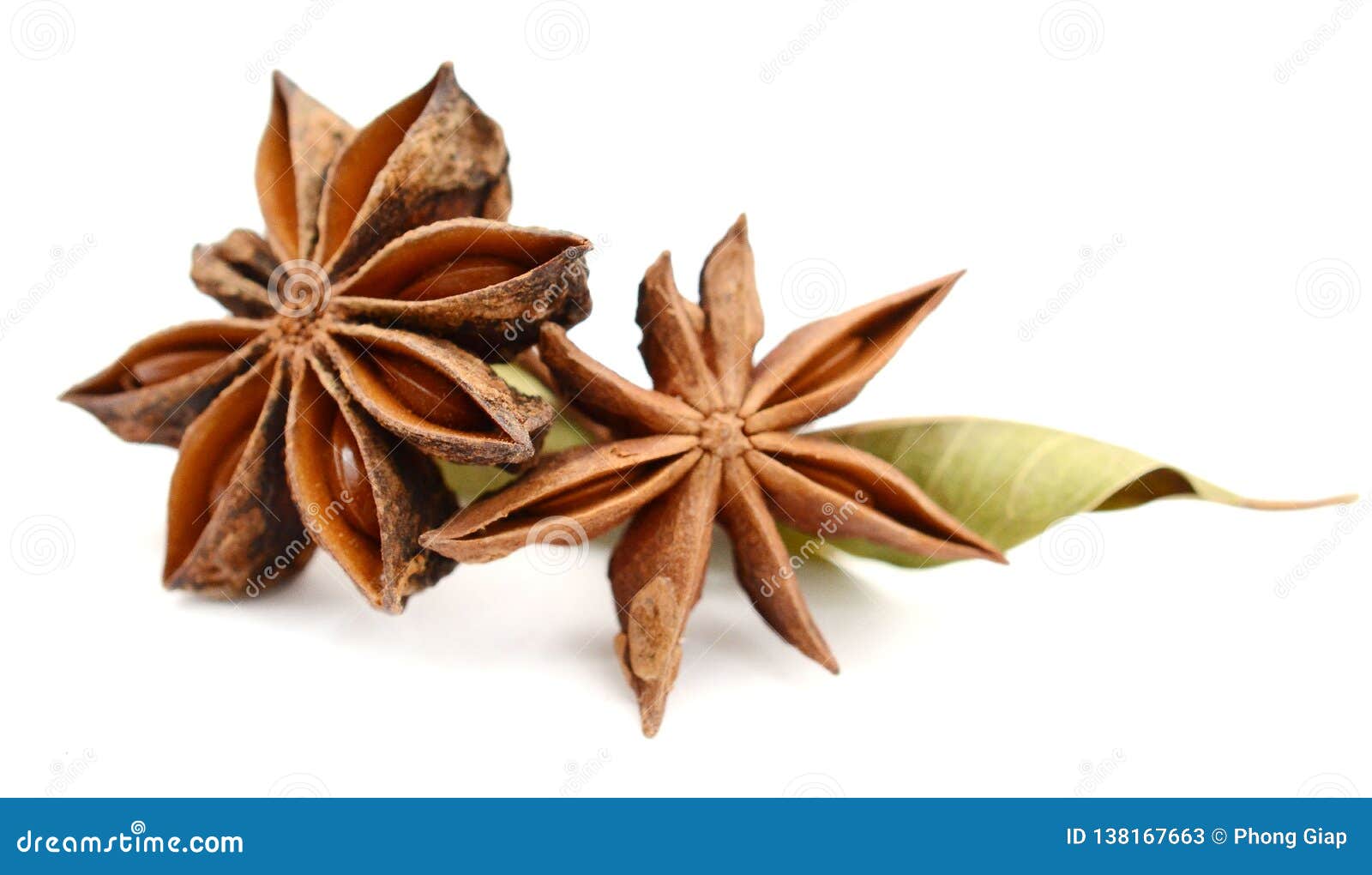 Anise flowers. stock image. Image of badiane, christmas - 138167663