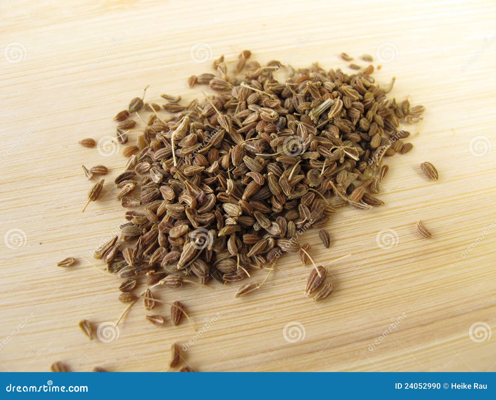 Anise fruits, Anis fructus stock photo. Image of dried - 24052990