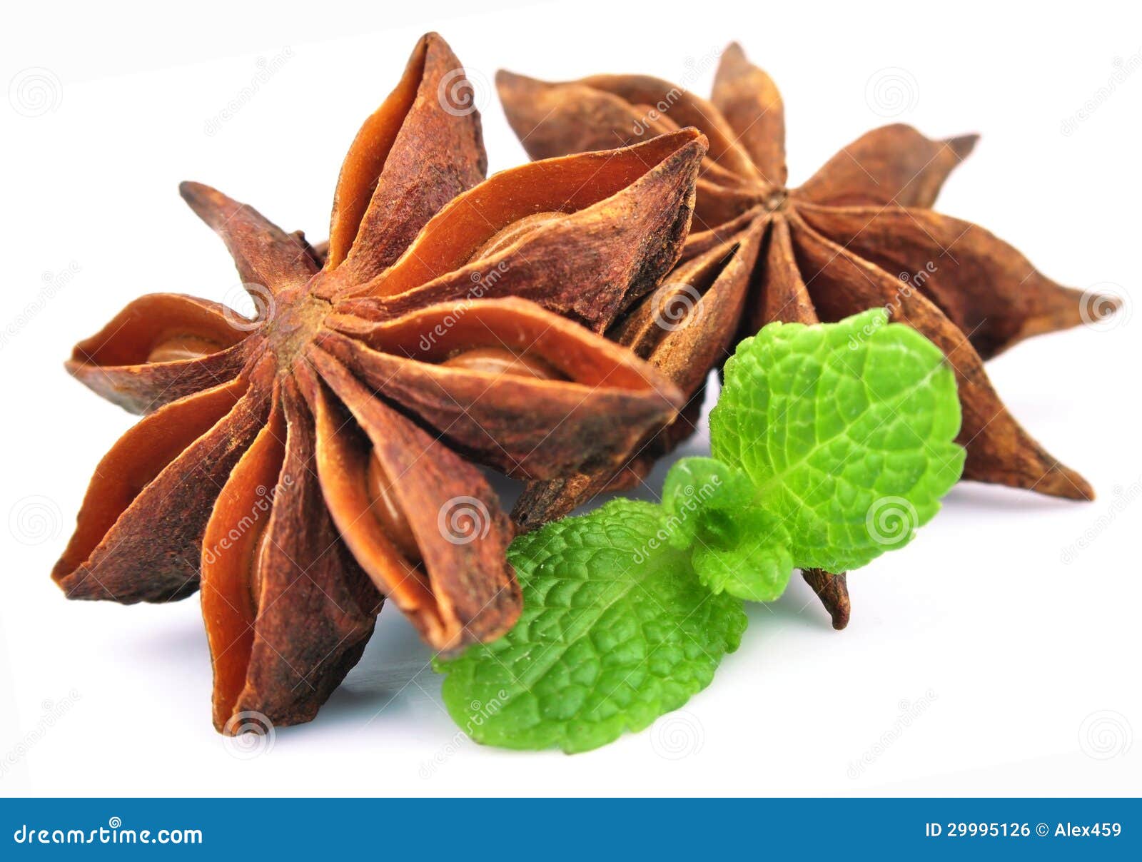 Anise and mint stock photo. Image of grain, ingredient - 29995126