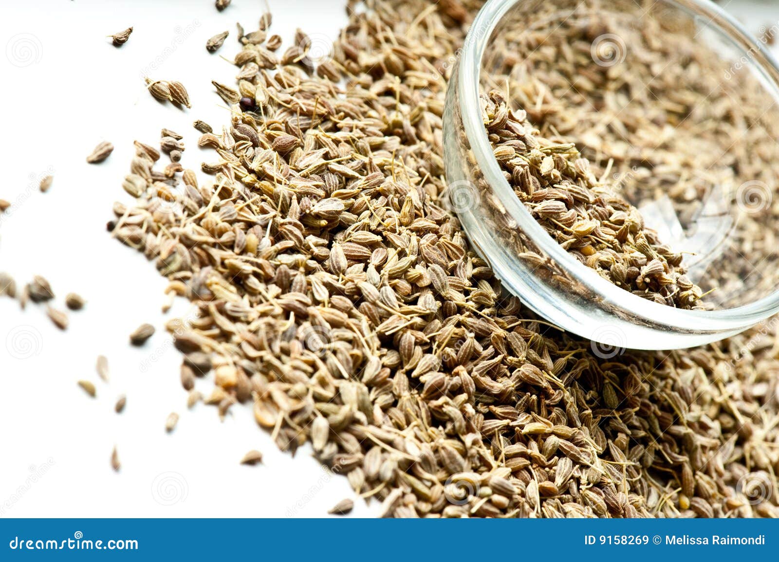 Anise Seeds stock image. Image of fennel, seed, licorice - 9158269