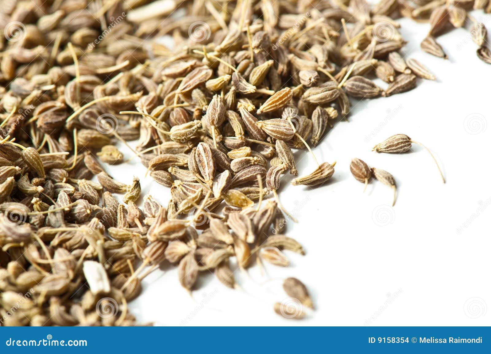 Anise Seeds stock photo. Image of scent, fennel, smell - 9158354
