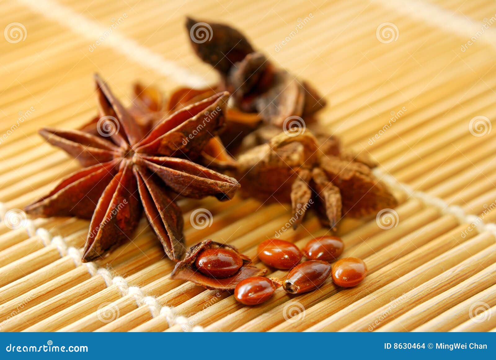 Anise Star Spice. Aniseed Thigh Latin Pimpin Lla An Sum , Is An Annual ...