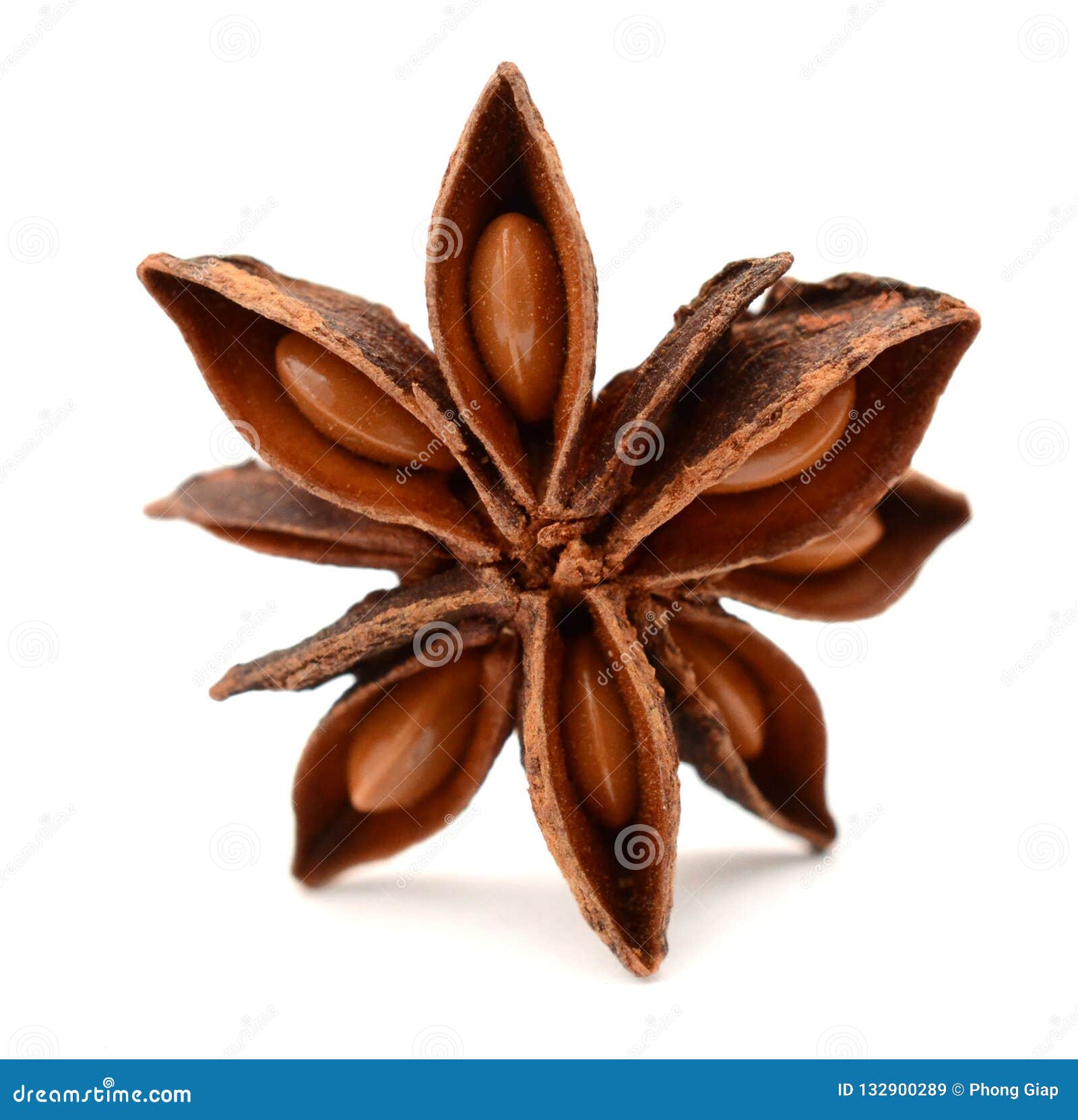 Anise Isolated on White Background Stock Image - Image of asia, natural ...