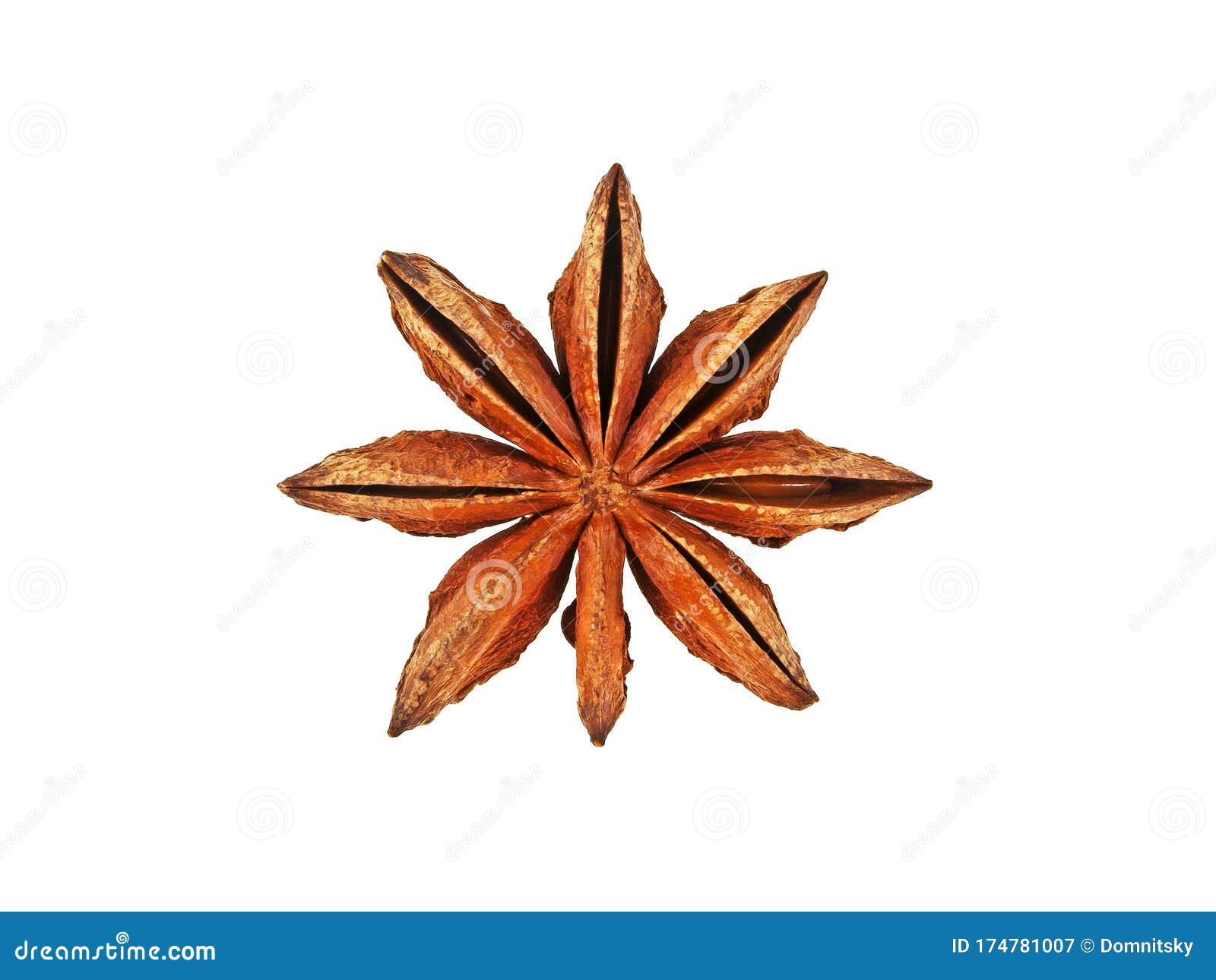 Anise Star Isolated on White Background Stock Image - Image of badian ...