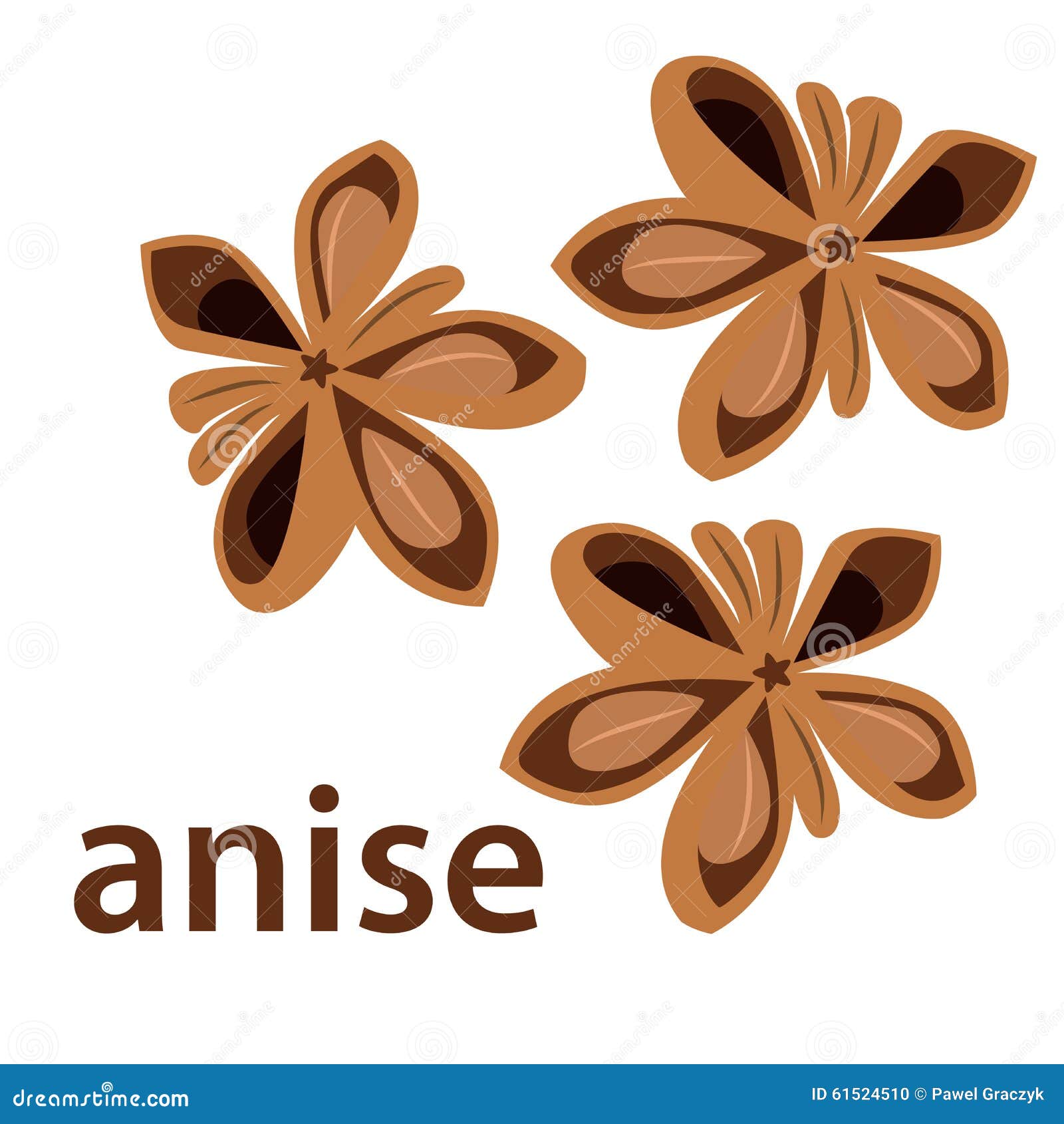 Anise star stock vector. Illustration of drawn, watercolor - 61524510