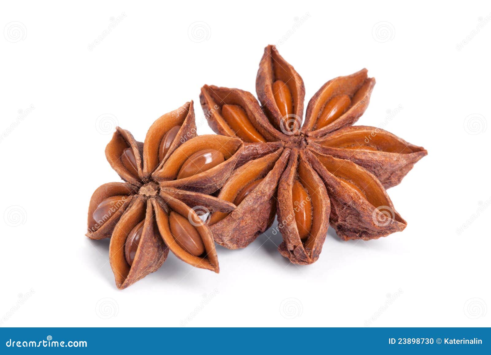 7,124 Star Anise Plant Stock Photos - Free & Royalty-Free Stock Photos ...