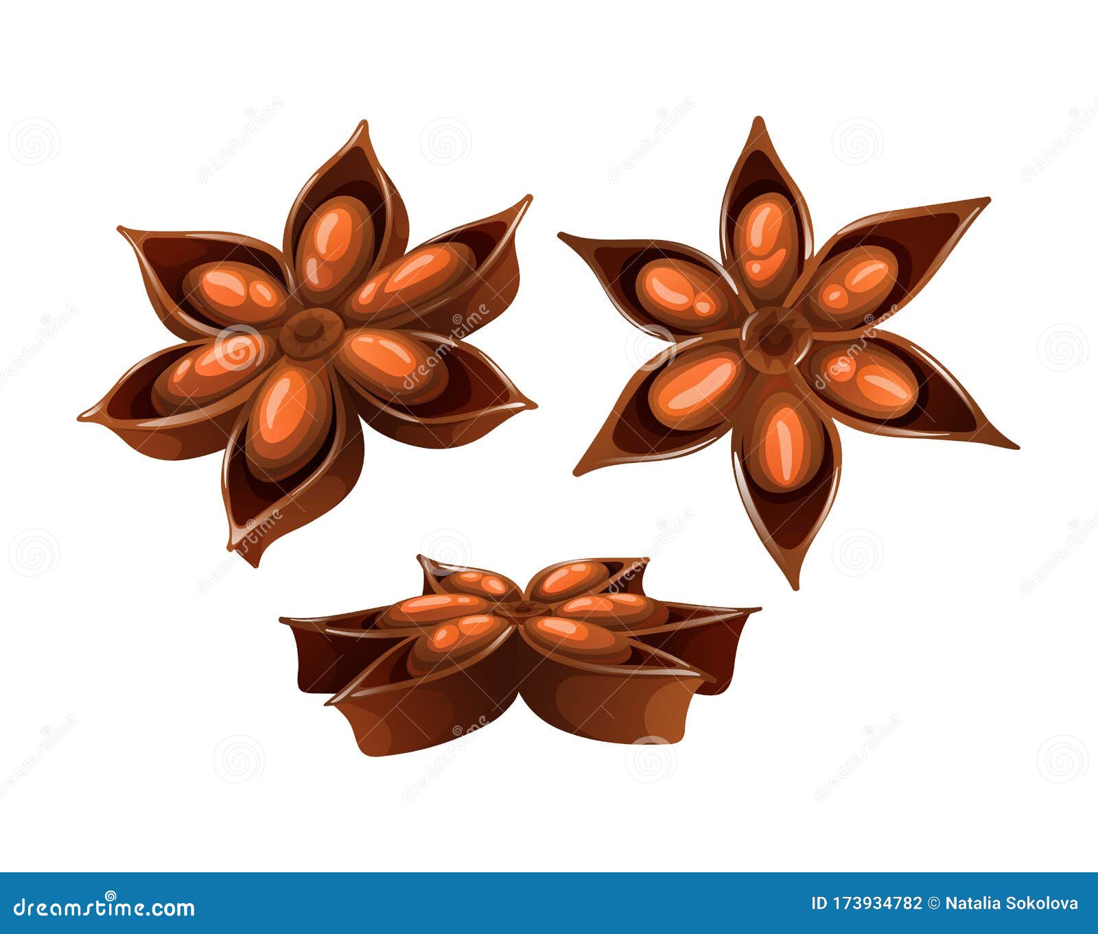 Anise Starts in Cartoon Style, Different Rotation Stock Vector ...