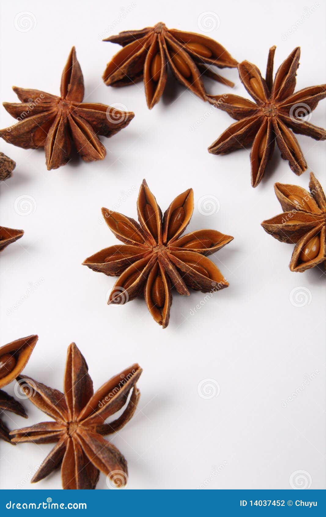 Aniseed stock photo. Image of anis, chine, asian, ragrance - 14037452