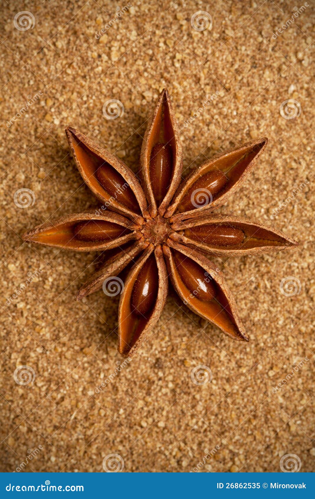 Aniseed stock image. Image of oriental, empty, background - 26862535