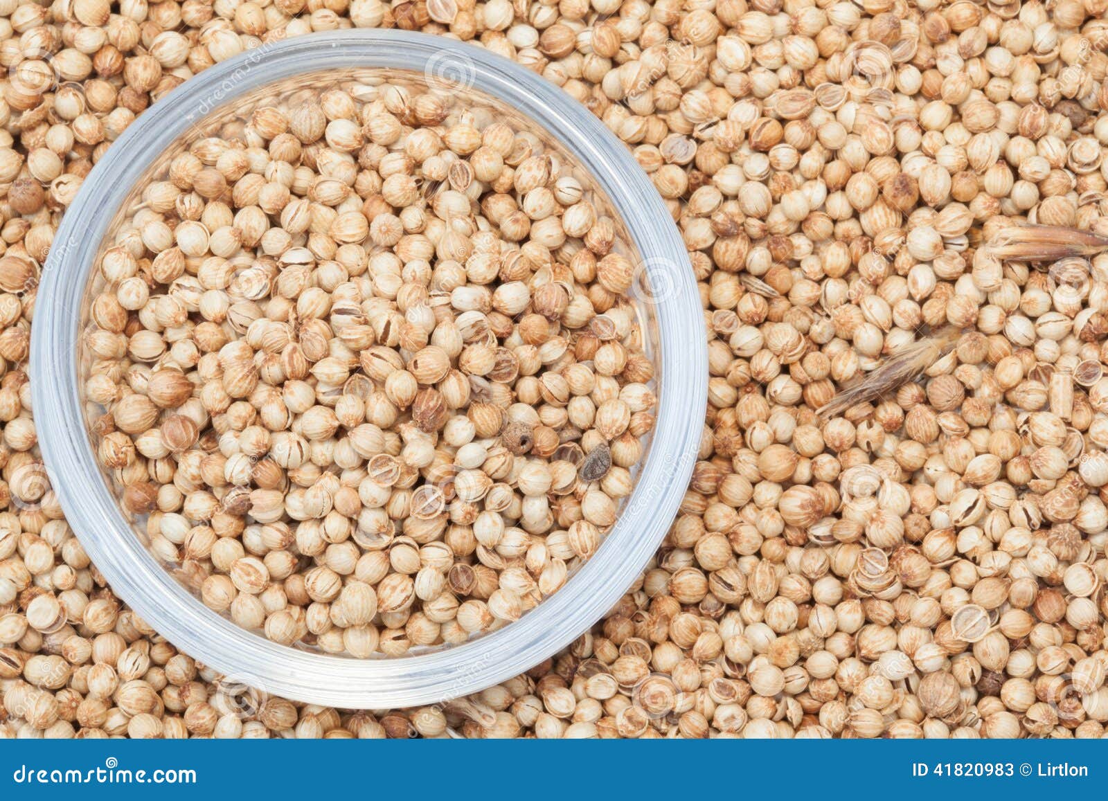 Aniseed stock image. Image of seed, close, sativum, macro - 41820983