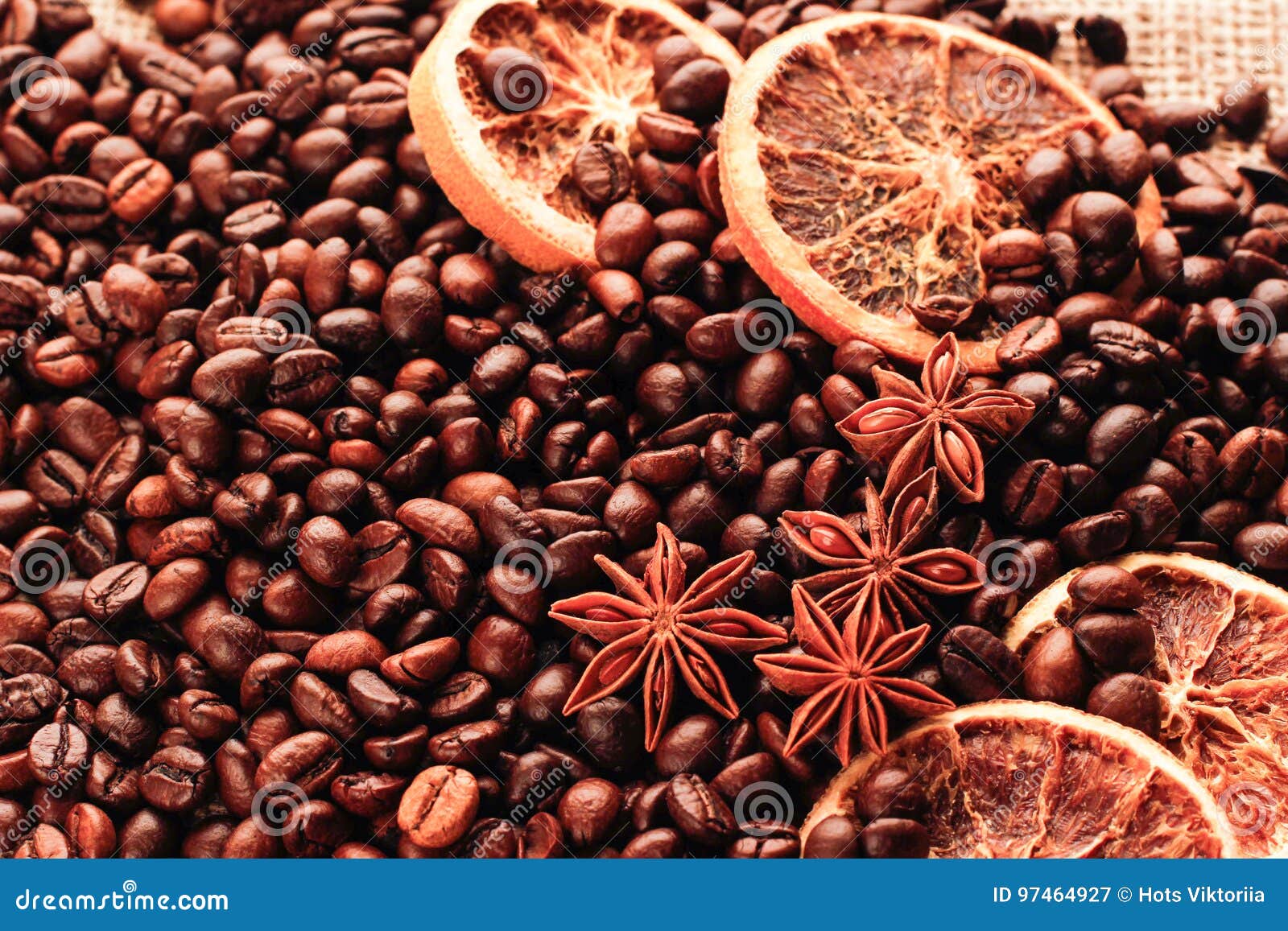Aniseed and Dried Orange on Scattered Coffee Beans Stock Image - Image ...