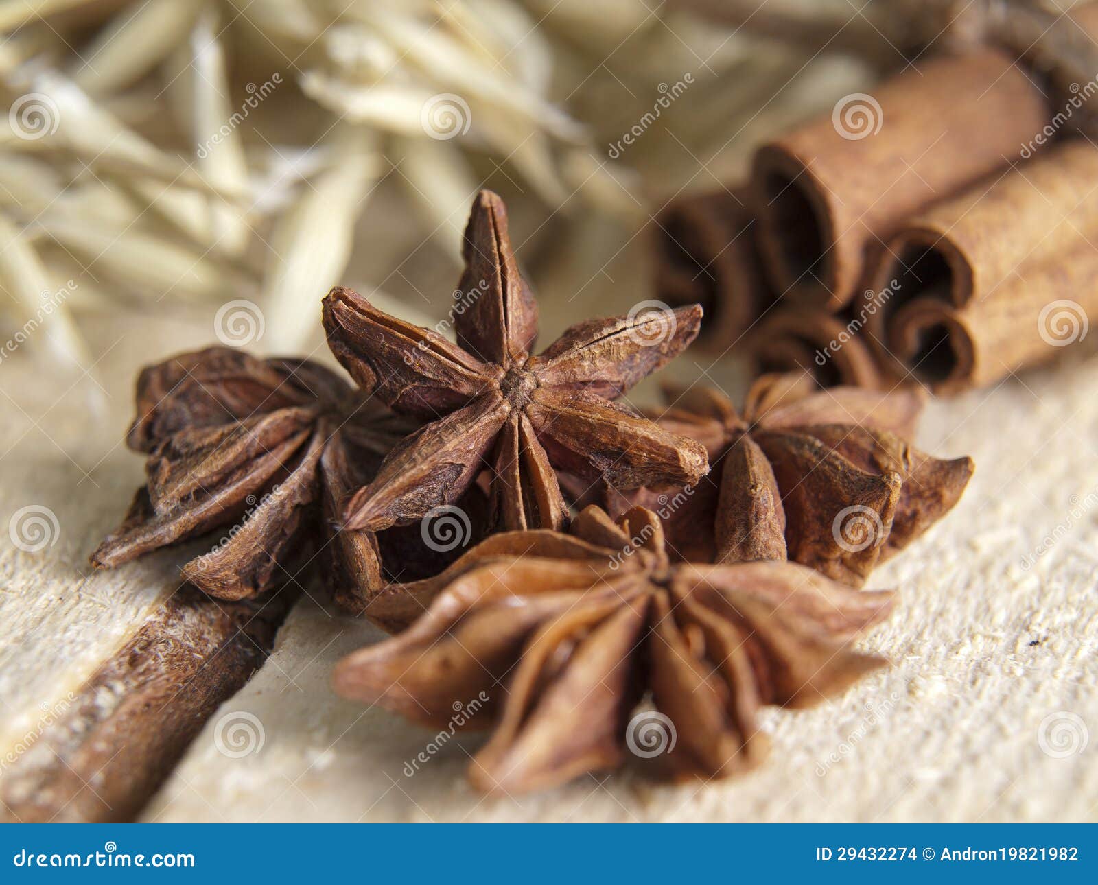 Aniseed tree and cinnamon stock photo. Image of delicious - 29432274
