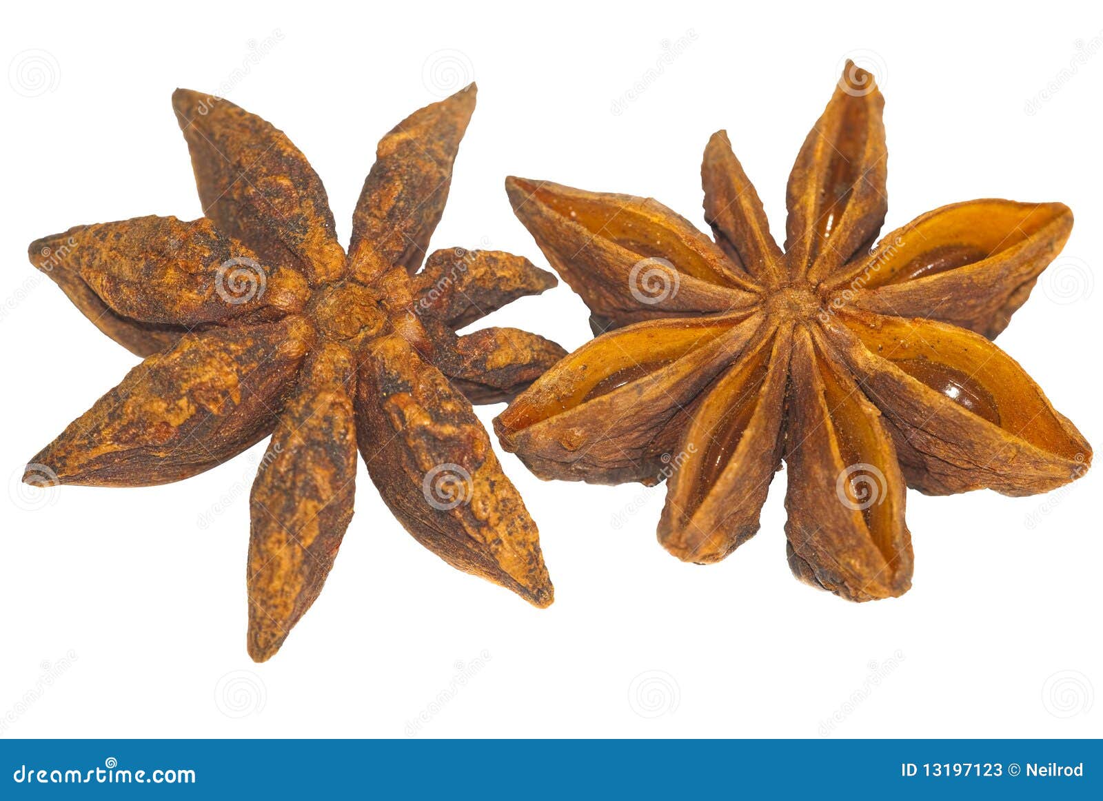 Aniseeds detail stock image. Image of aniseed, cook, delicious - 13197123
