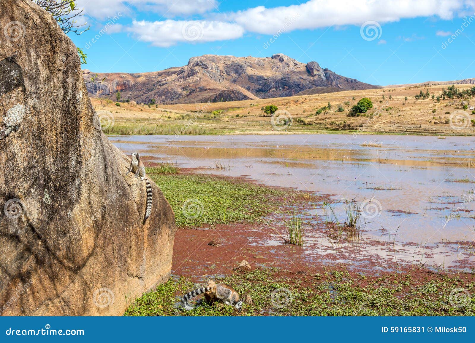 Anja - Nature Reserve of Madagascar Stock Image - Image of lake ...