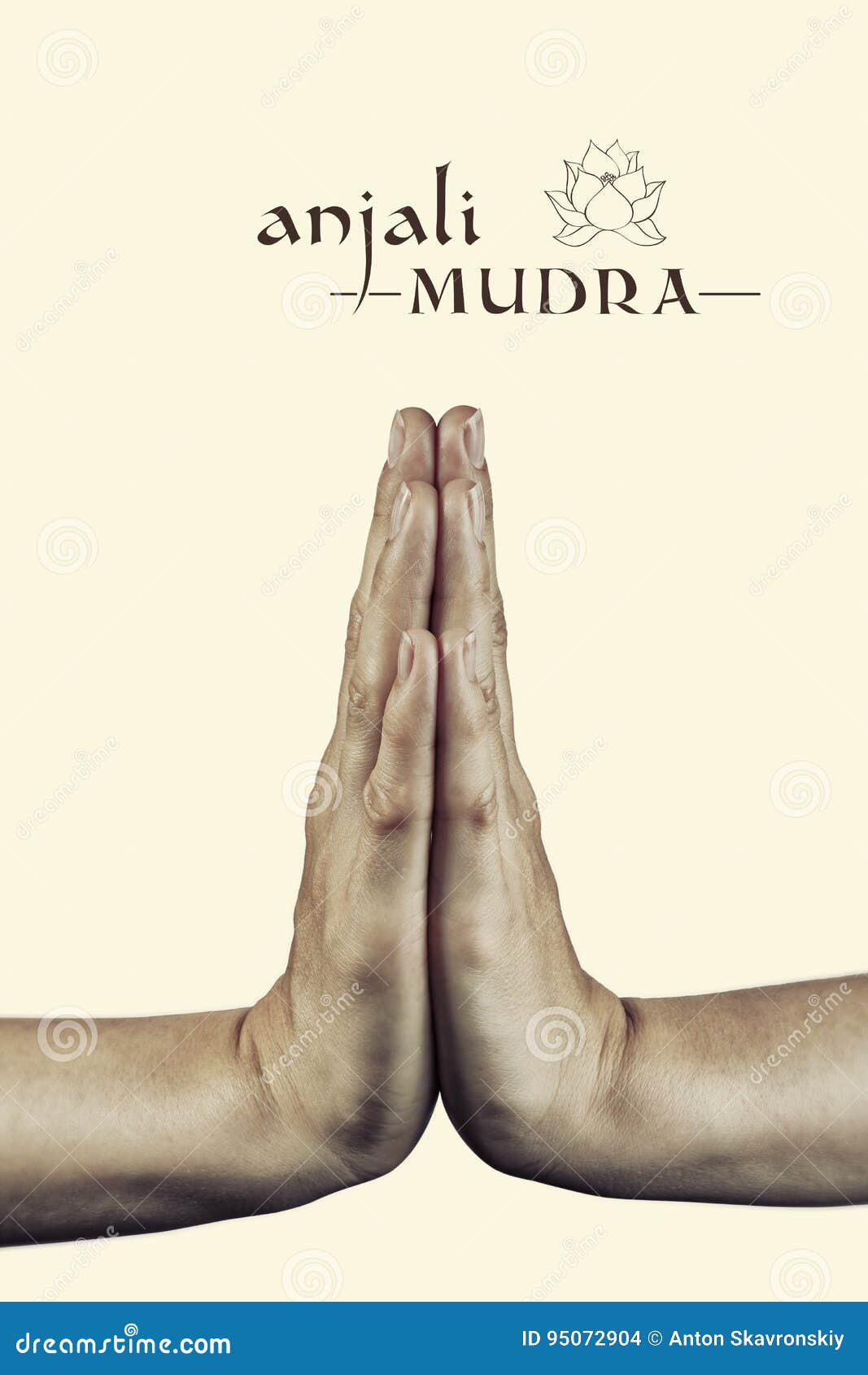Anjali mudra. stock photo. Image of harmony, guru, lifestyle - 95072904