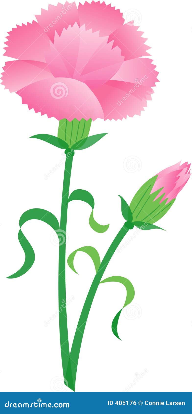 Anjer stock illustratie. Illustration of één, grafisch - 405176