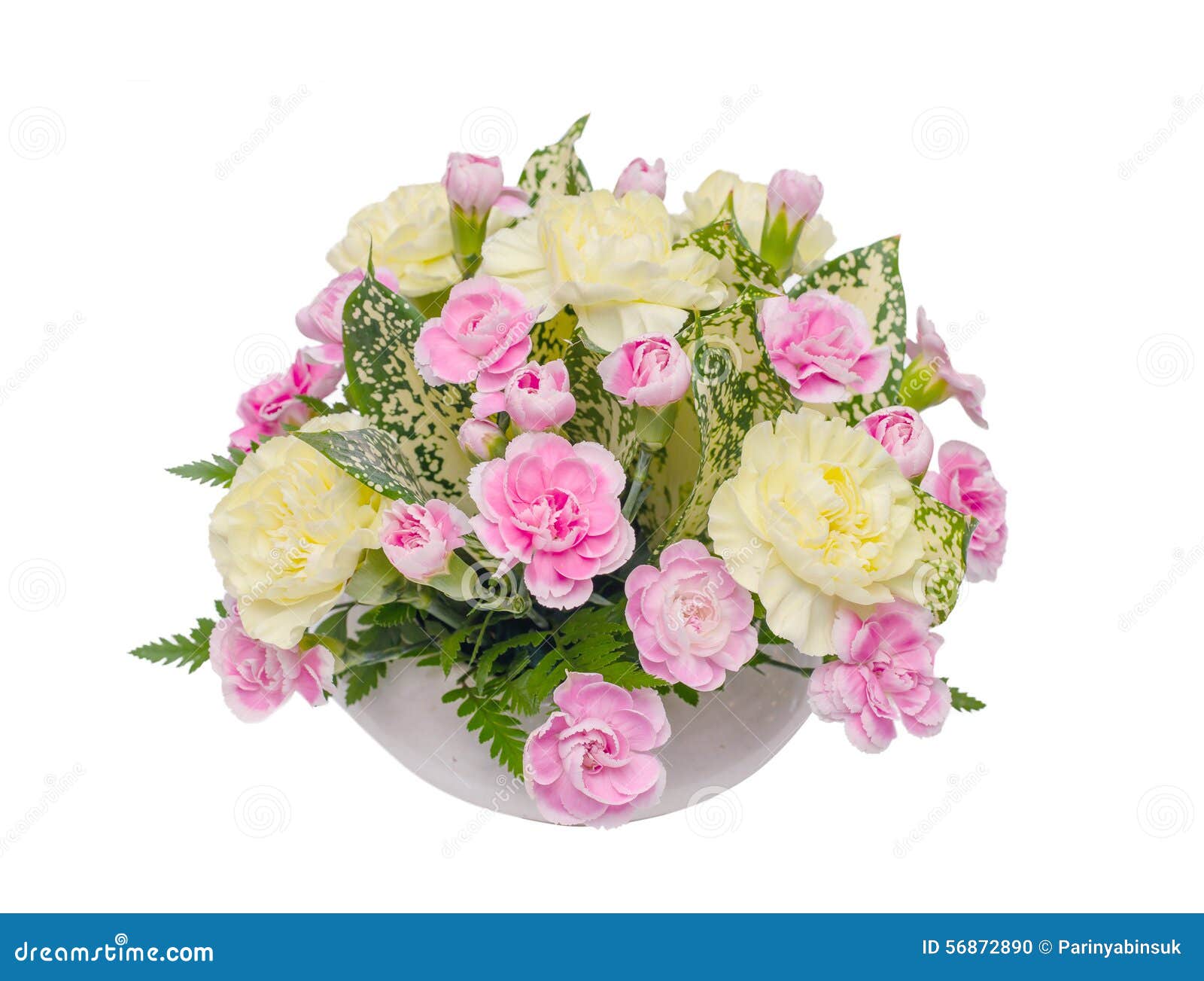 Anjer En Groen Verlof in Vaas Stock Foto - Image of huwelijk, groen ...