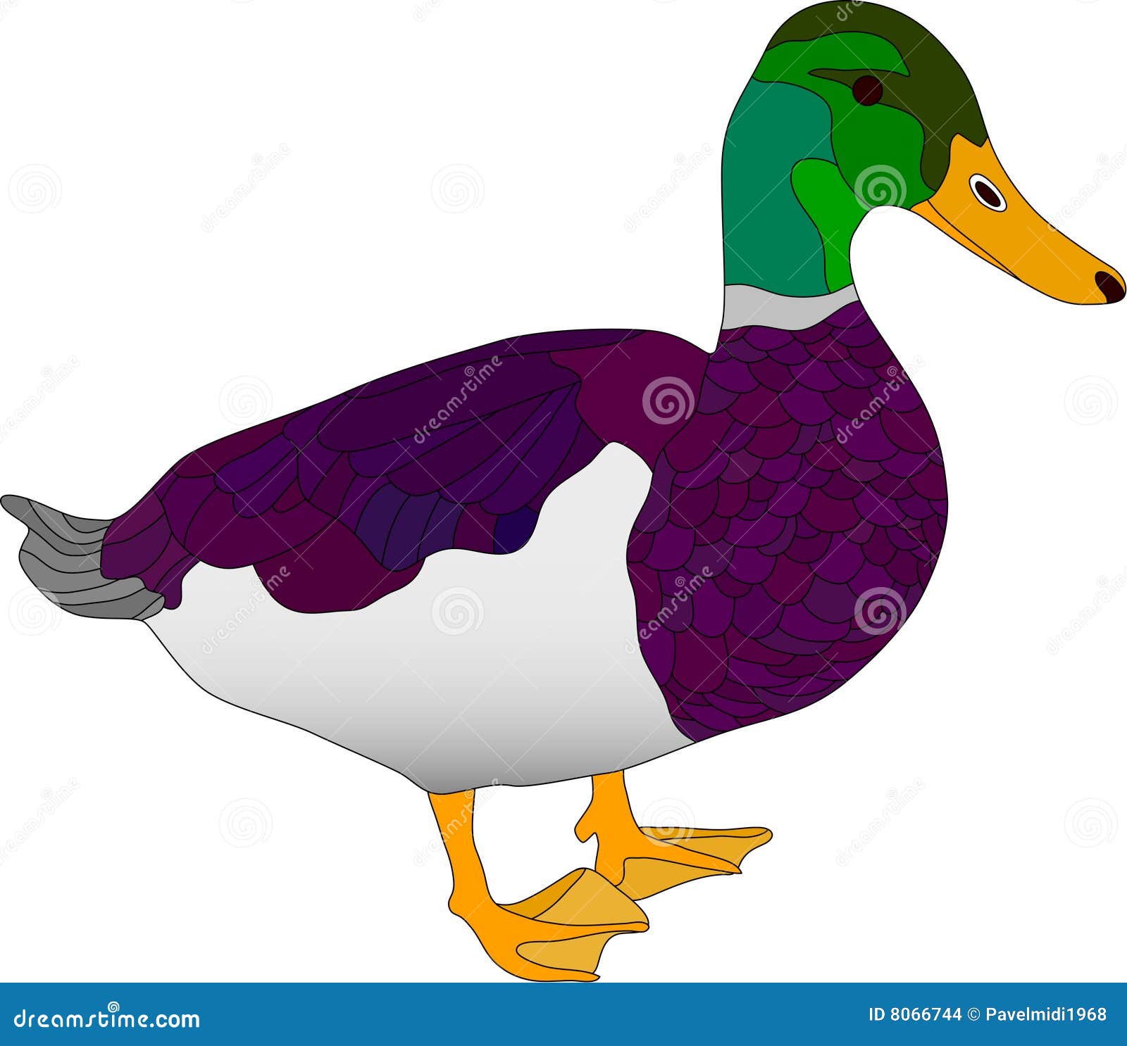 Anka vektor illustrationer. Illustration av teckning, aviär - 8066744