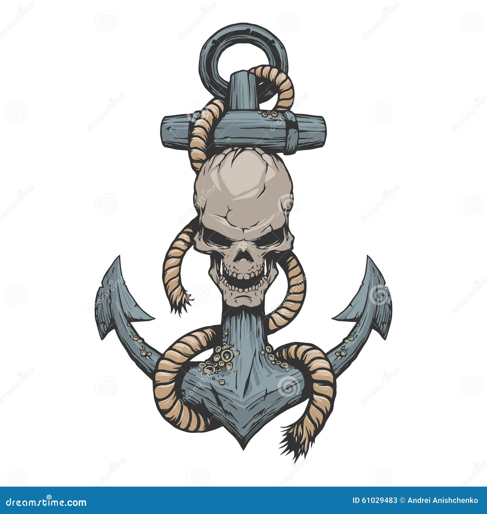 Ankar- Och Skalleillustration Vektor Illustrationer - Illustration av ...