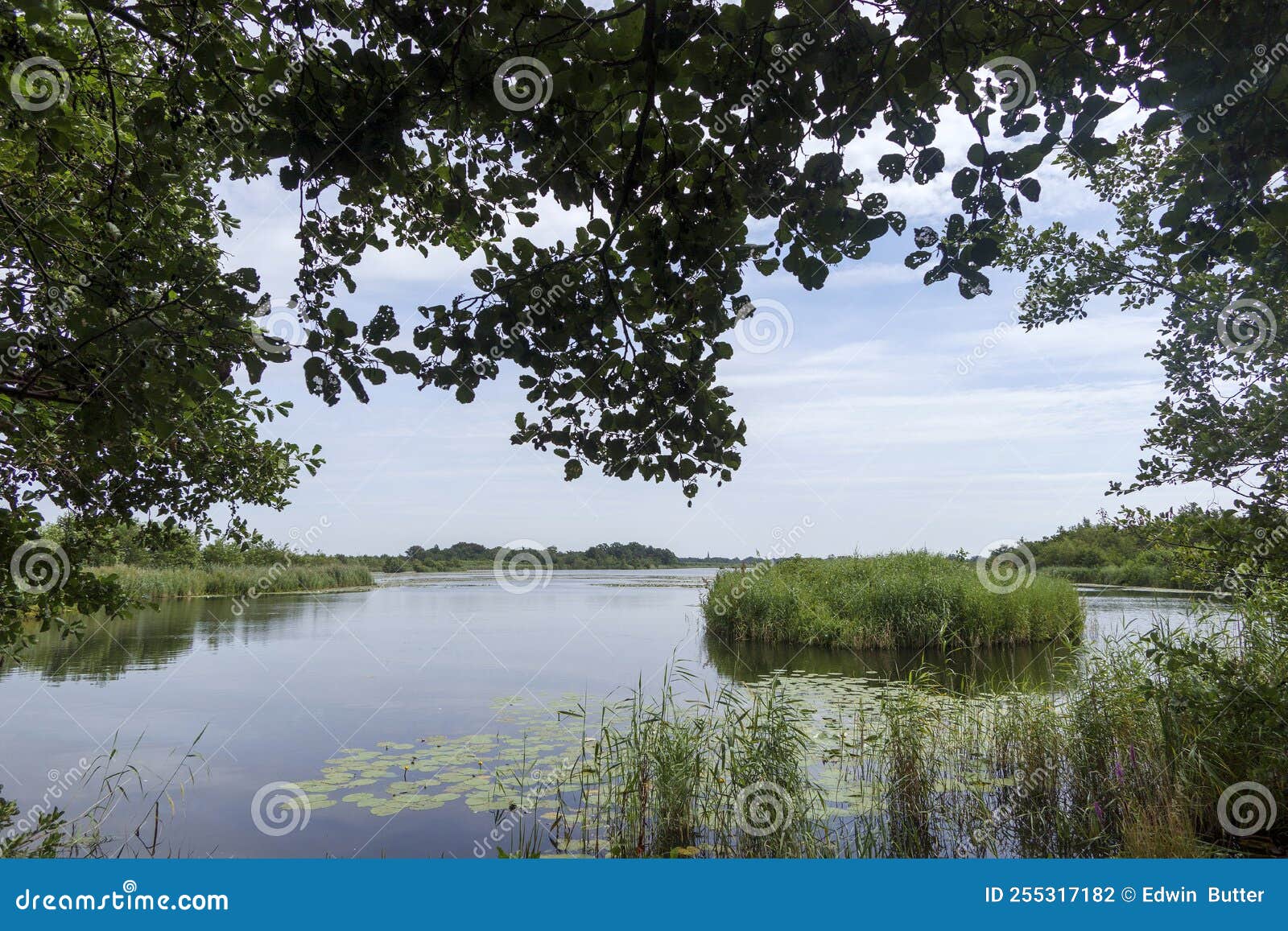 The Ankeveense Plassen stock photo. Image of pond, cloud - 255317182