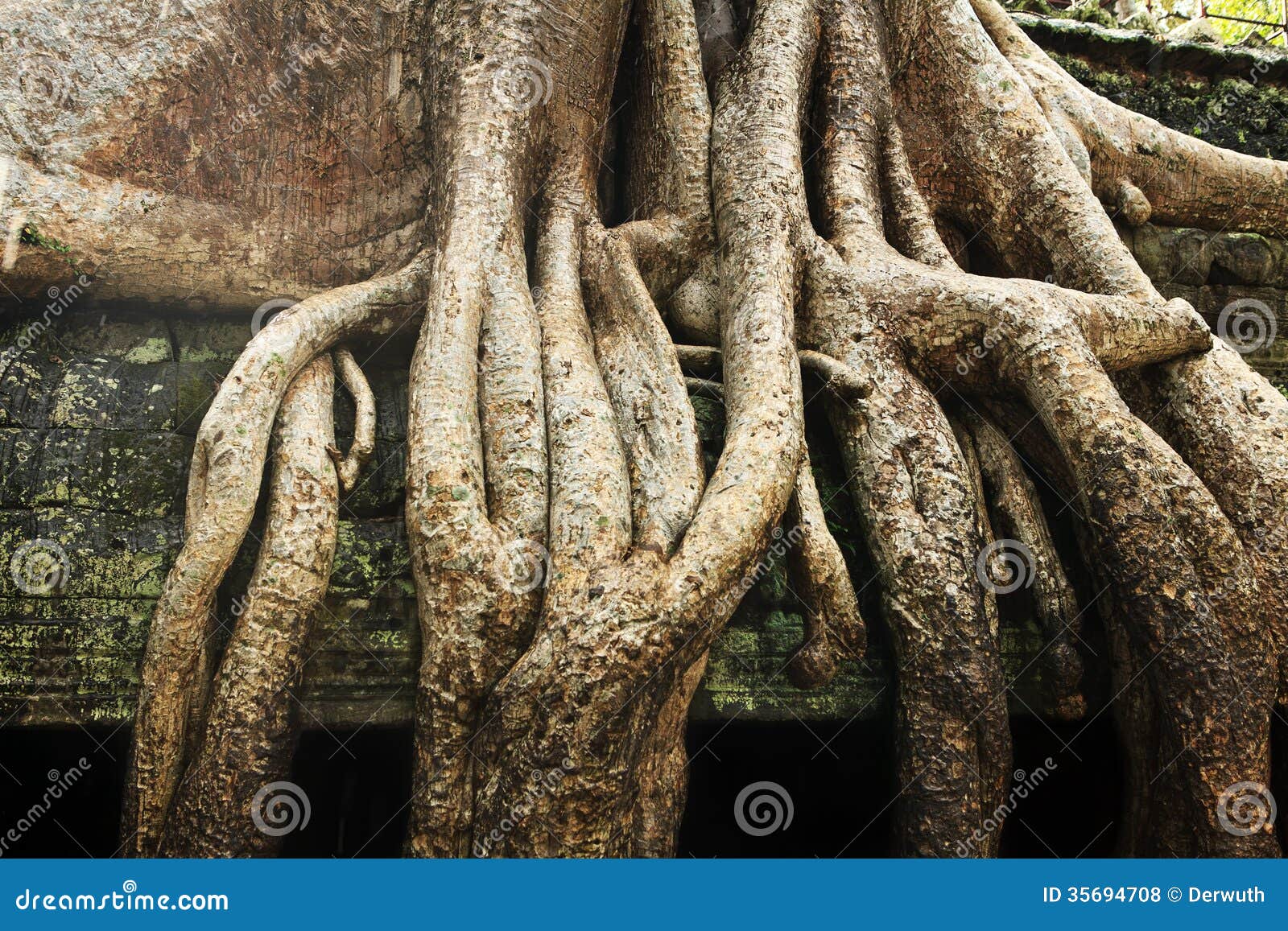 Ankgor vat stock photo. Image of reap, hindu, archeology - 35694708