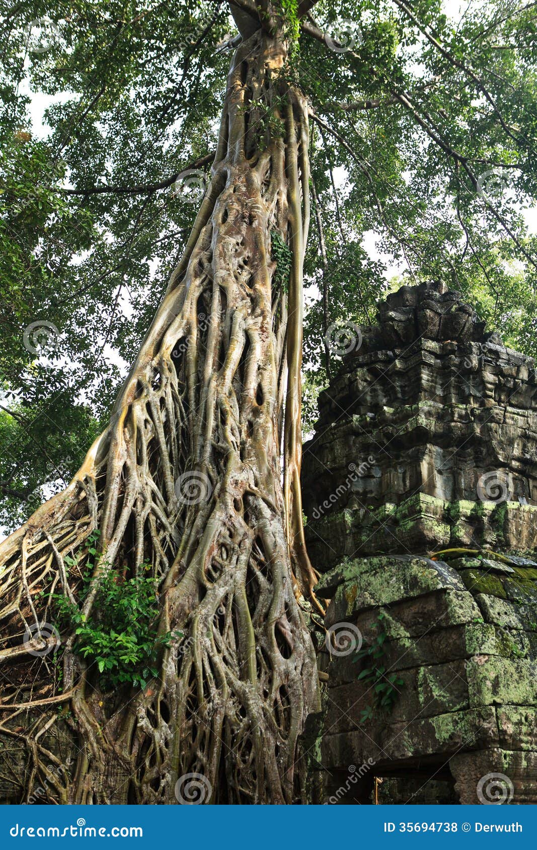 Ankgor vat stock photo. Image of lake, fight, heritage - 35694738