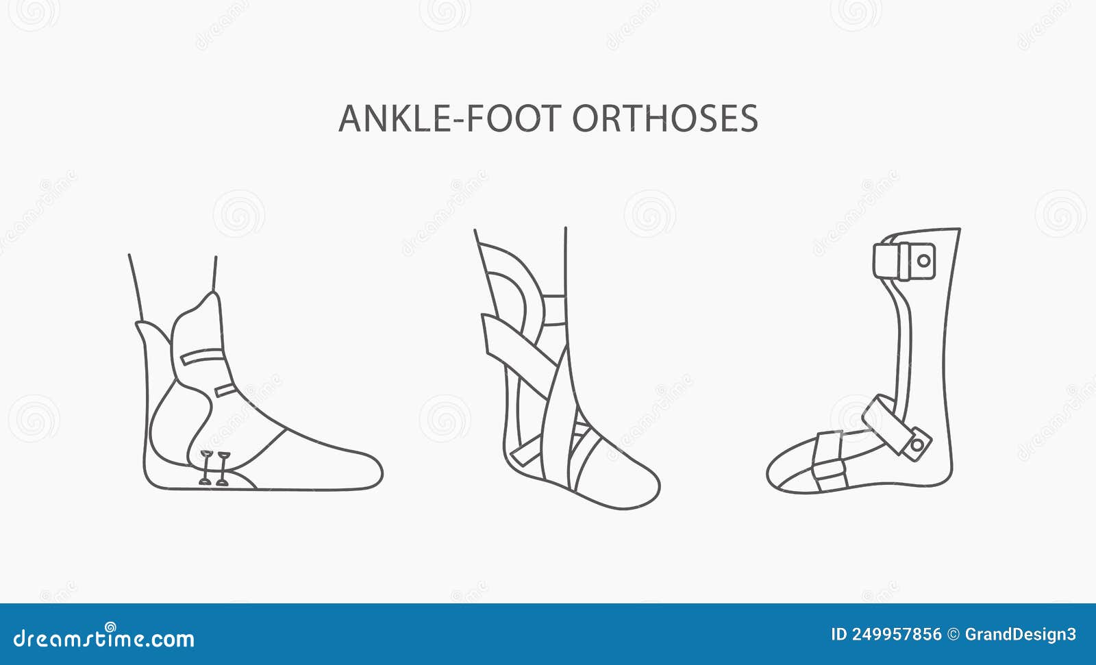 Ankle-foot Orthoses Linear Icon. Vector Illustration Stock Vector ...