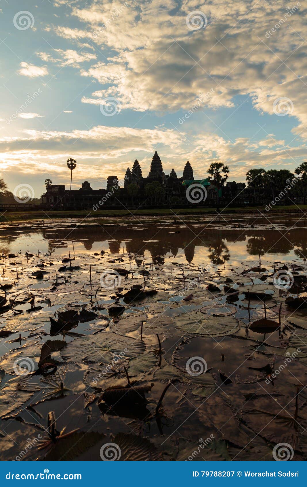 Ankor wat stock image. Image of rainforest, civilization - 79788207