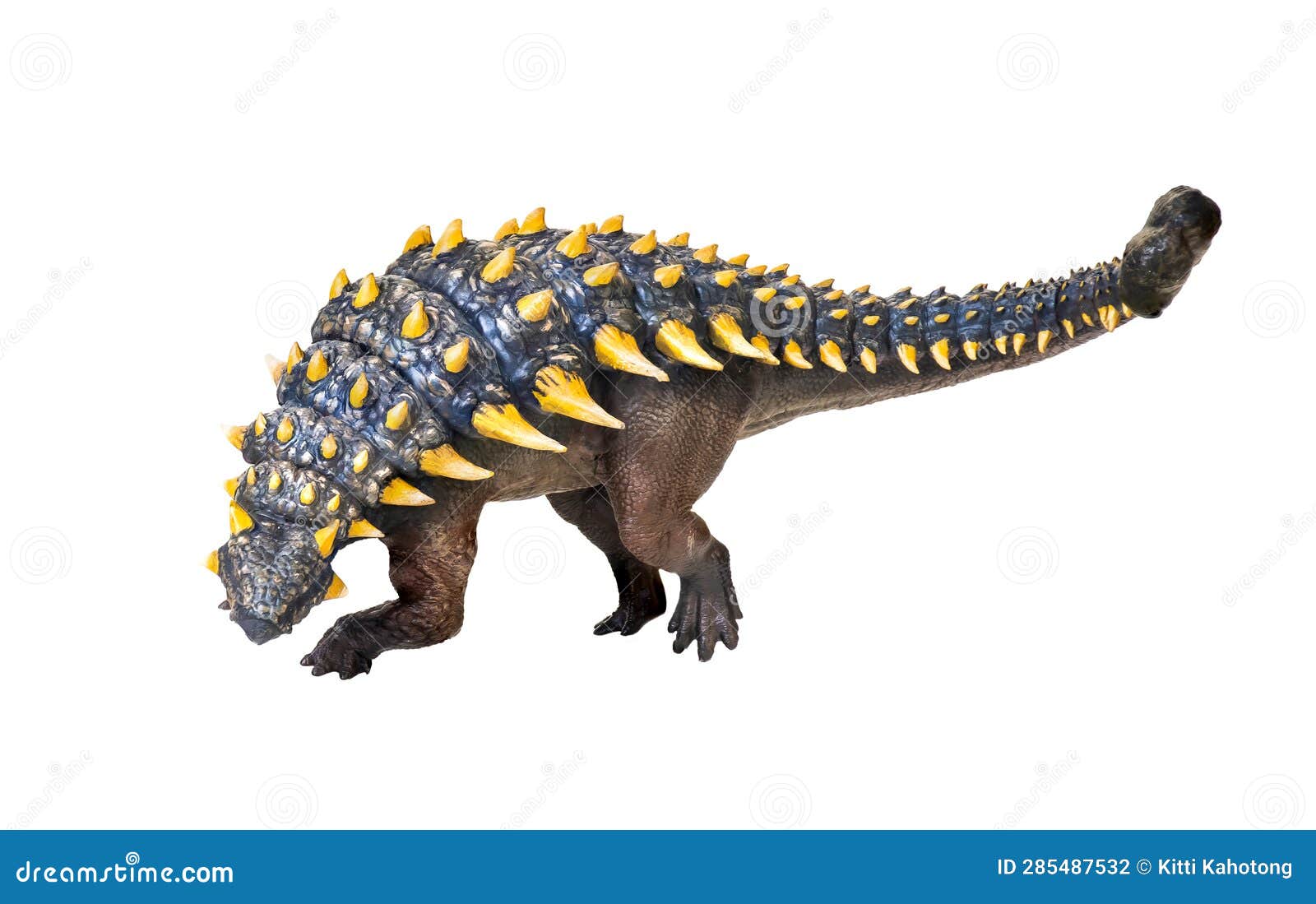 Ankylosaurus Dinosaur , Isolated Background Stock Photo - Image of wild ...