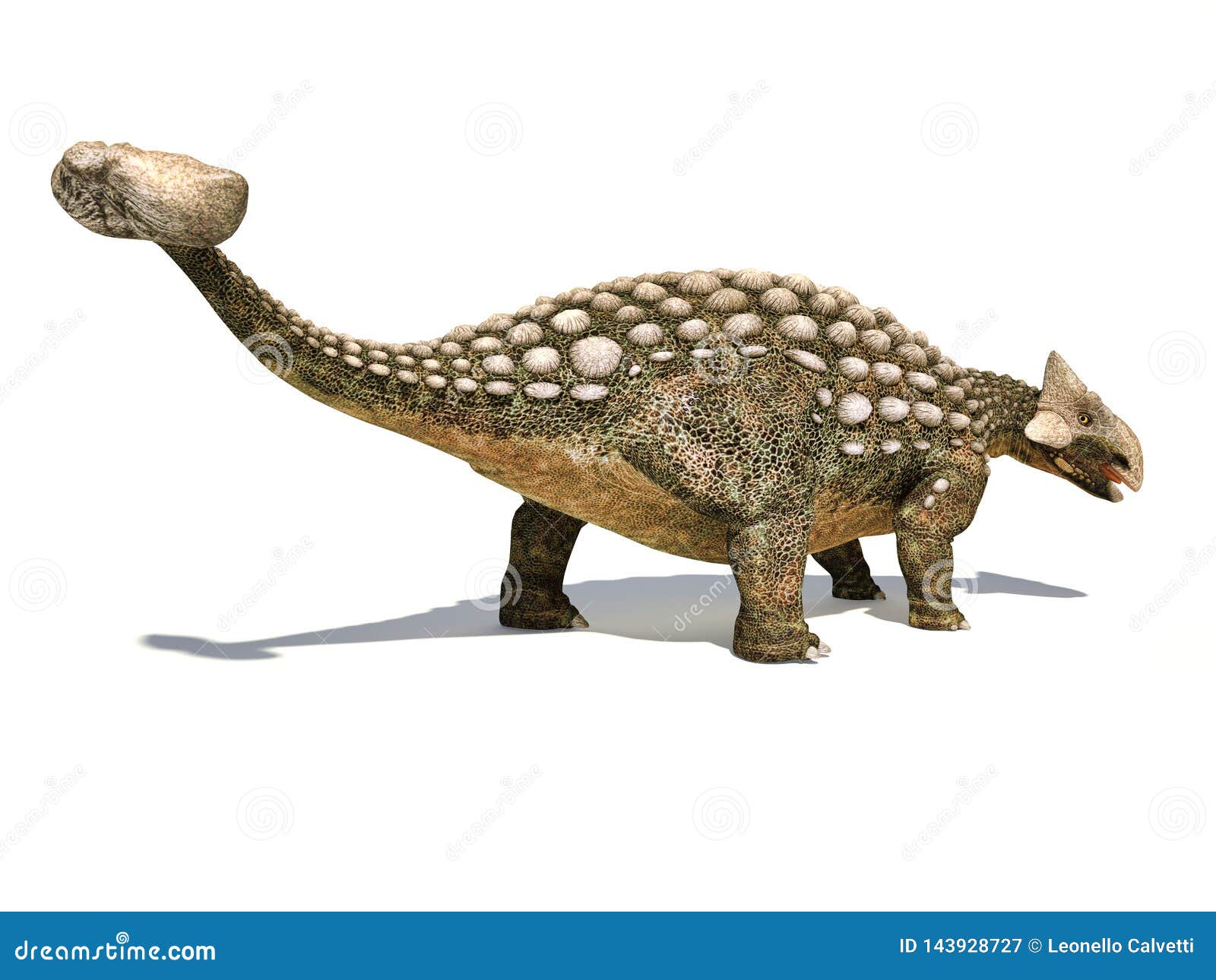 Ankylosaurus Dinosaur Isolated on White Background Stock Illustration ...