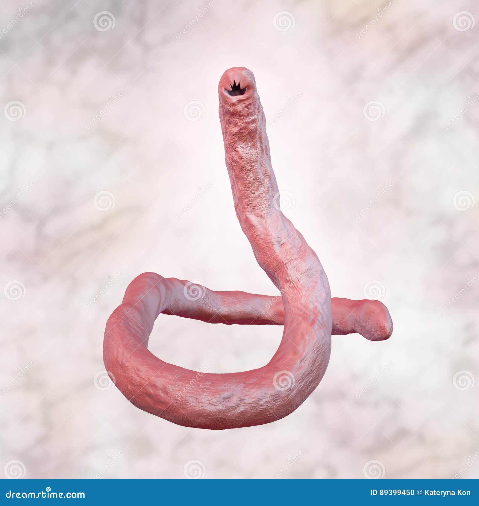 Ankylostome Parasite Ancylosoma Illustration Stock - Illustration du ...