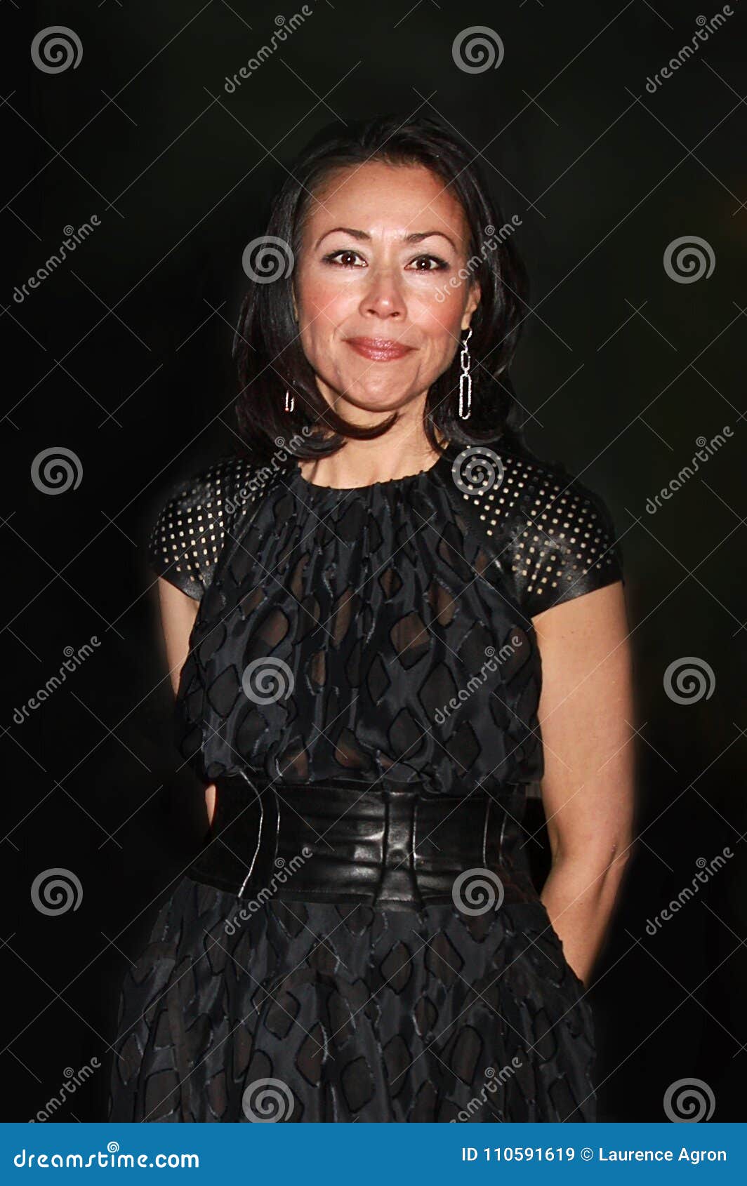 Ann Curry редакционное стоковое изображение. изображение насчитывающей ...